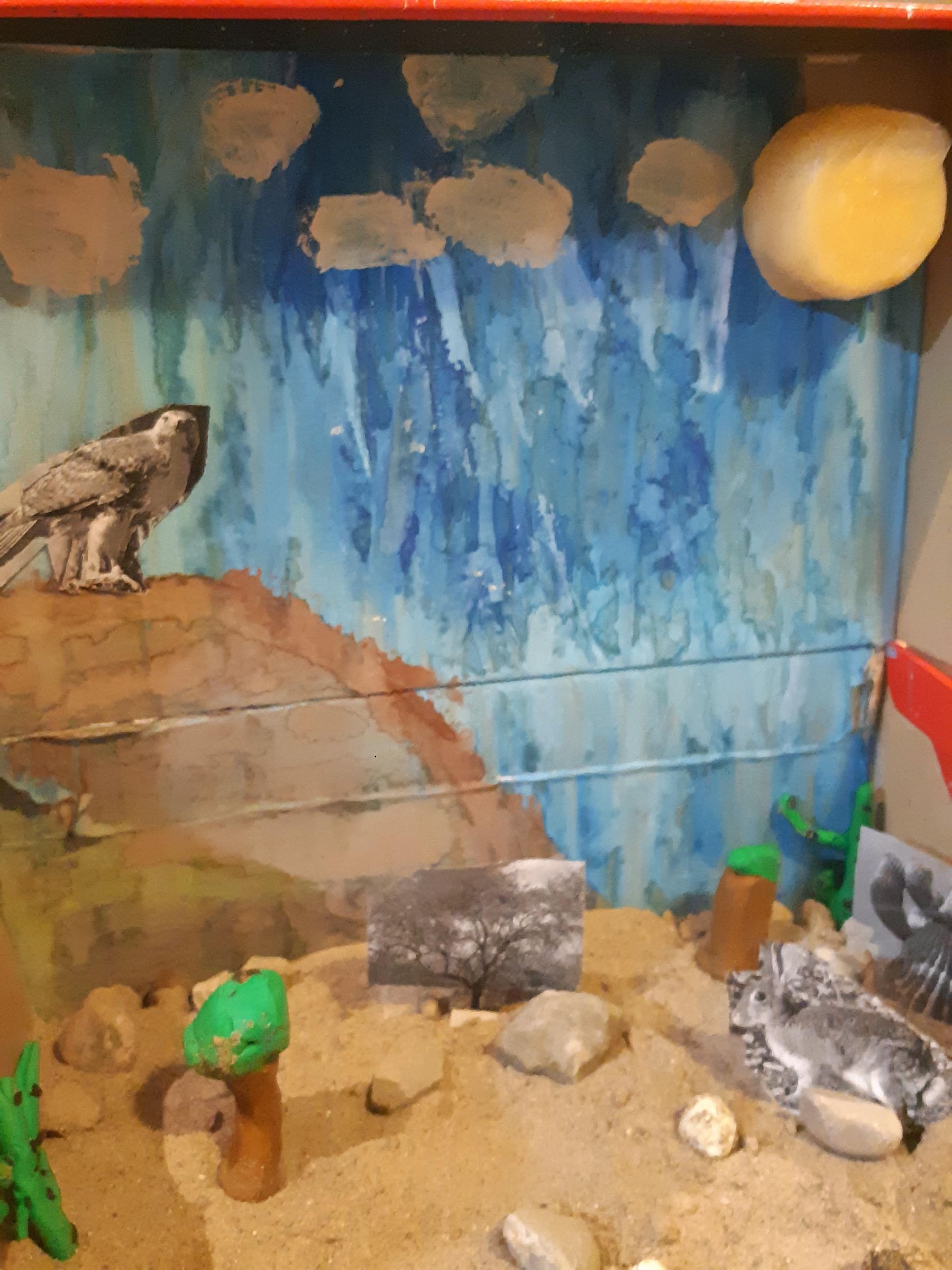 Desert Ecosystem Project