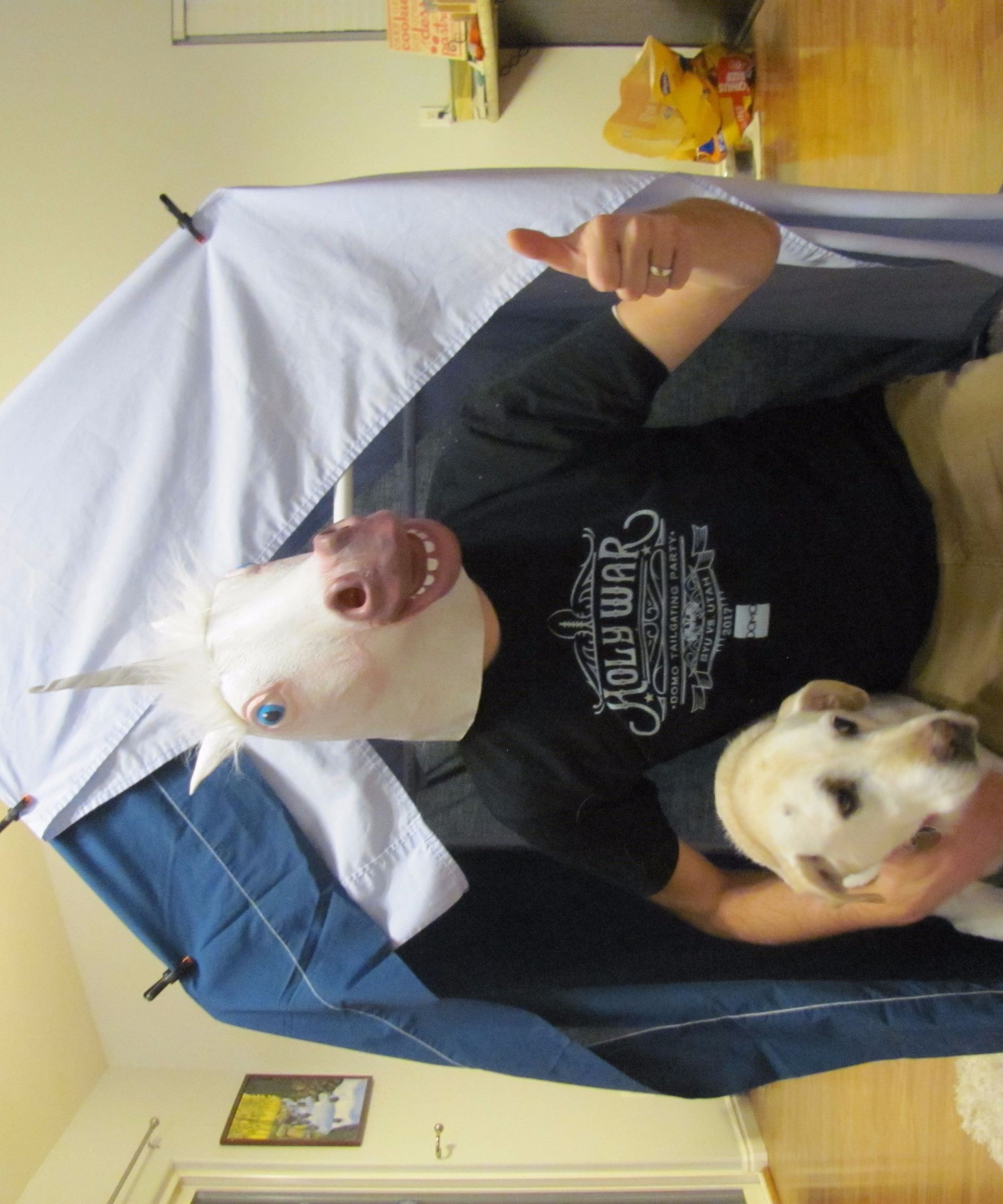 PVC Blanket Fort Kit : 4 Steps (with Pictures) - Instructables