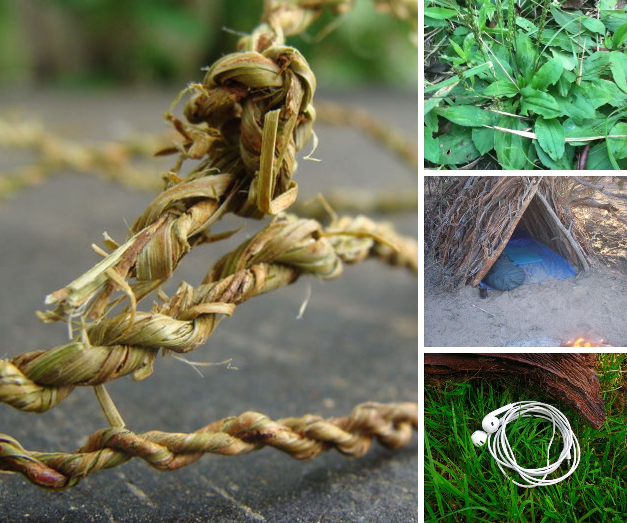 Survival - Instructables