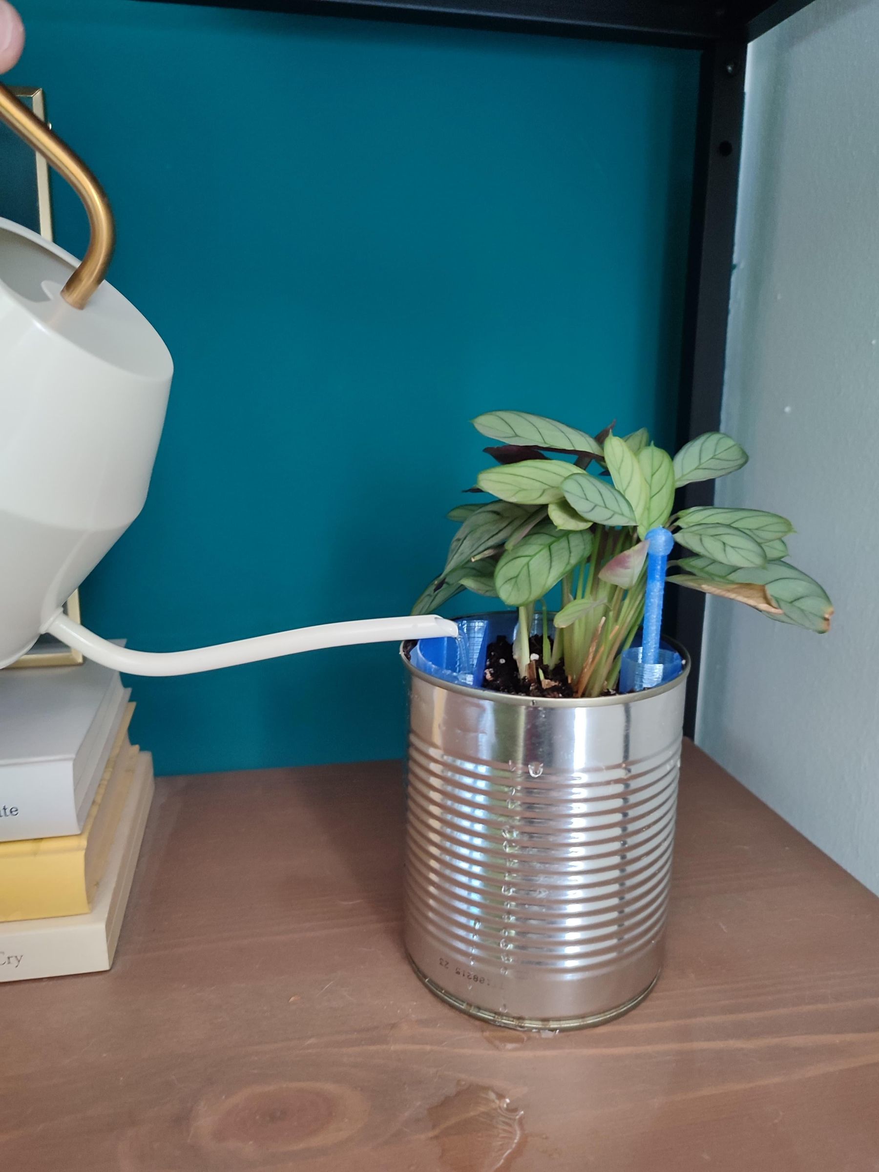 Self-Watering Pot With Water Level Indicator (With a Food Can) : 8 ...