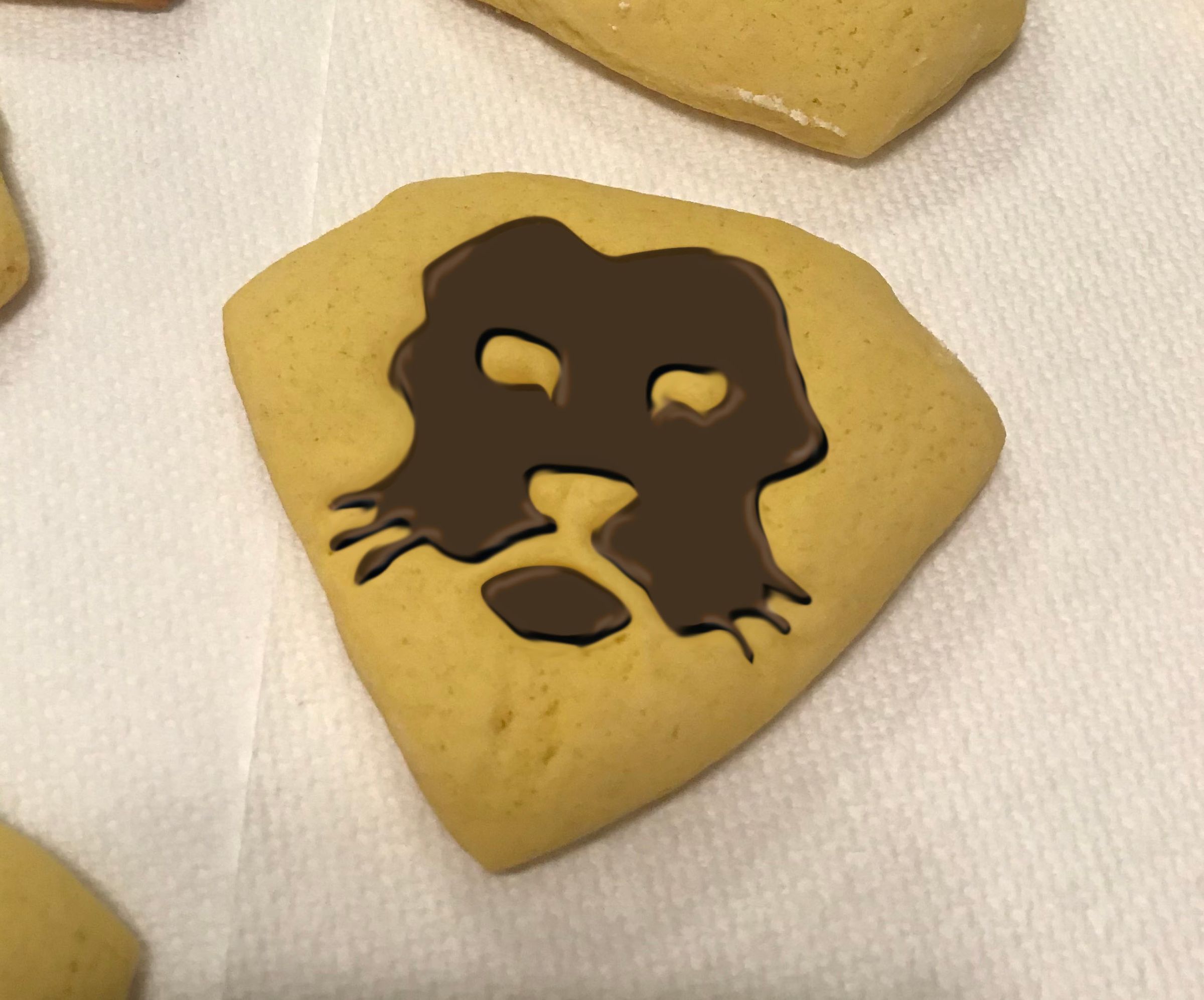 EPIC FAIL - LION DEN COOKIES : 5 Steps - Instructables