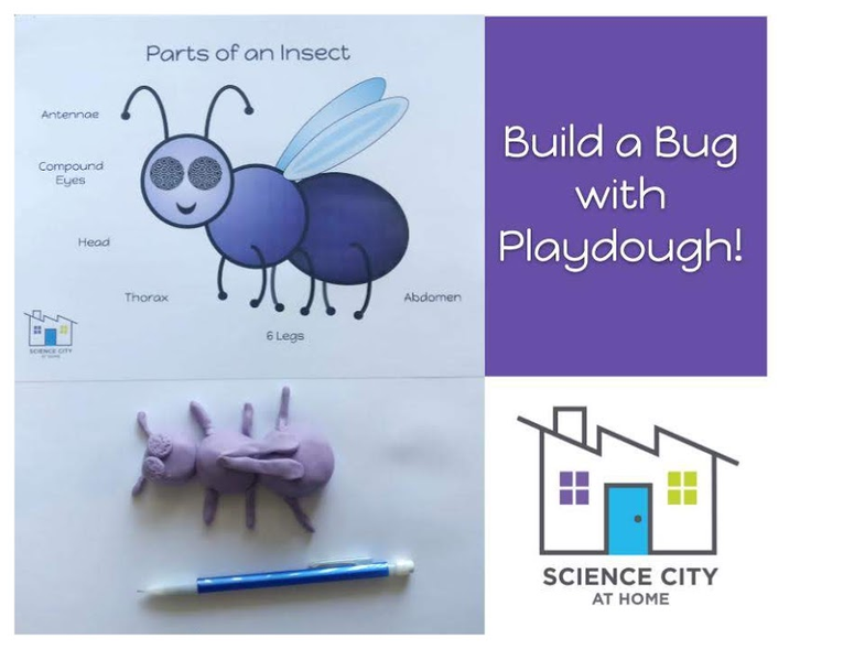 Build a Bug! : 4 Steps - Instructables