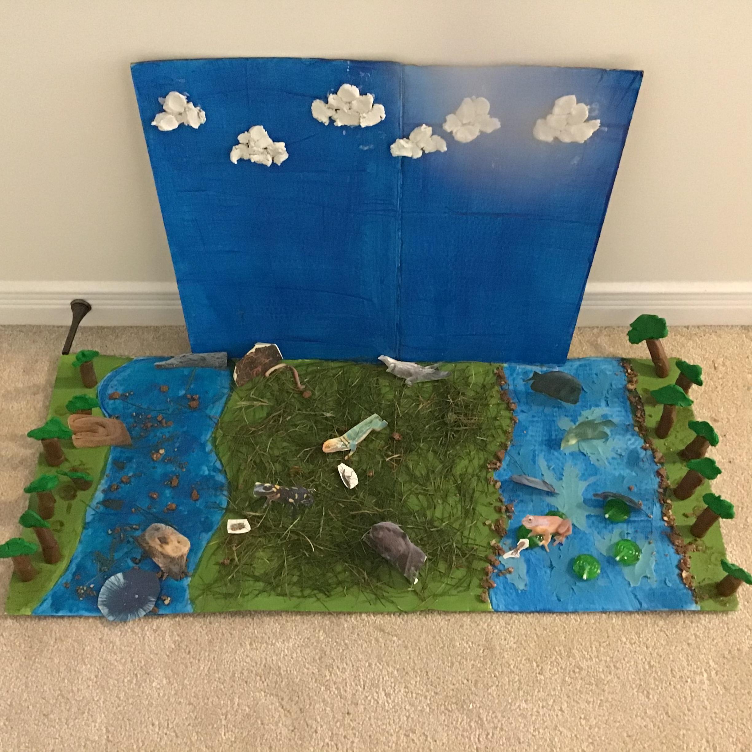 Lake Ecosystem Projects Ponderful