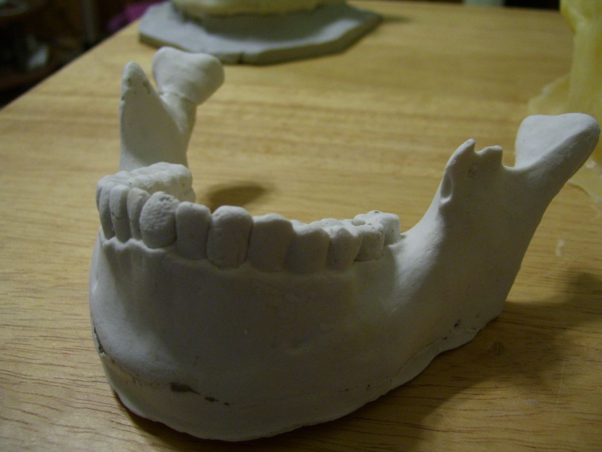 Make Your Own Bones for Halloween : 7 Steps - Instructables