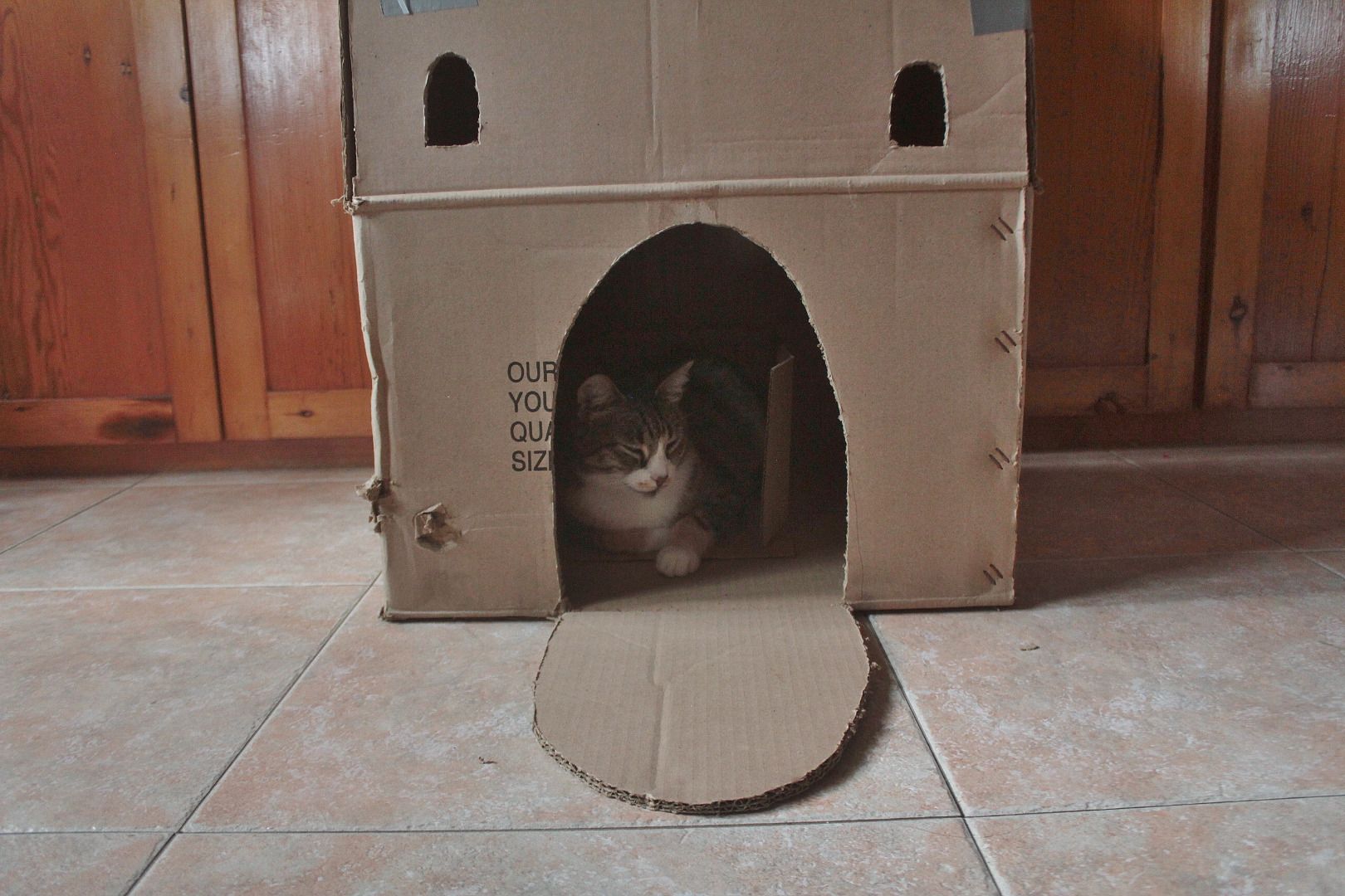 A Cat's Castle : 19 Steps - Instructables