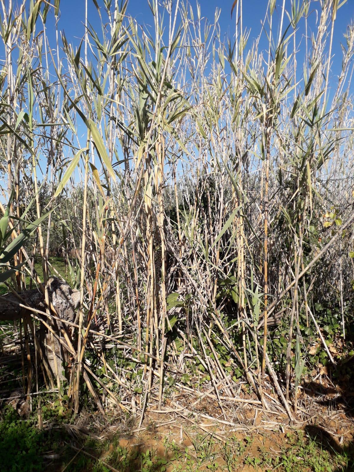 Keyhole Garden : 12 Steps (with Pictures) - Instructables