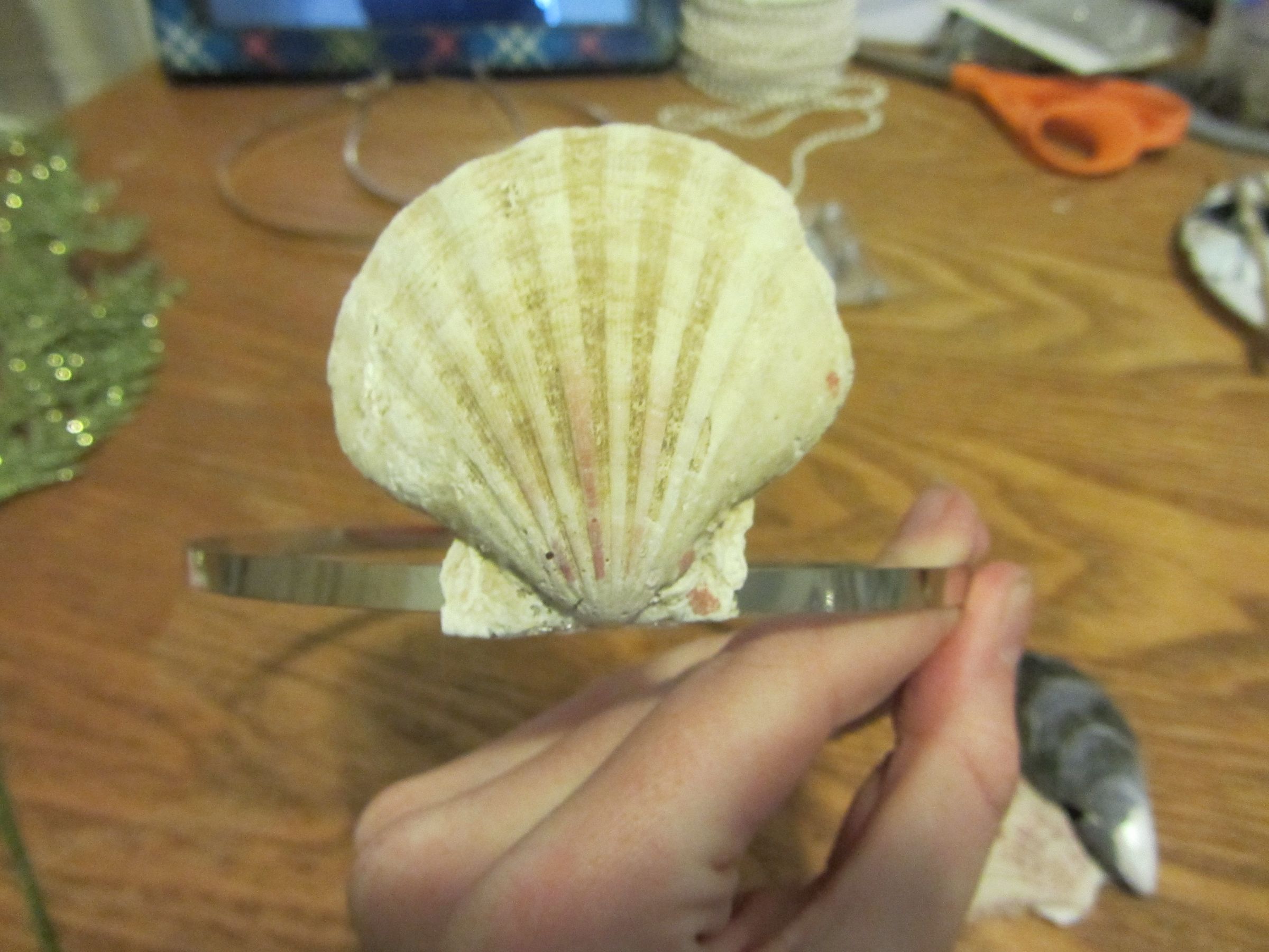 DIY Simple Mermaid Shell Crown : 7 Steps (with Pictures) - Instructables