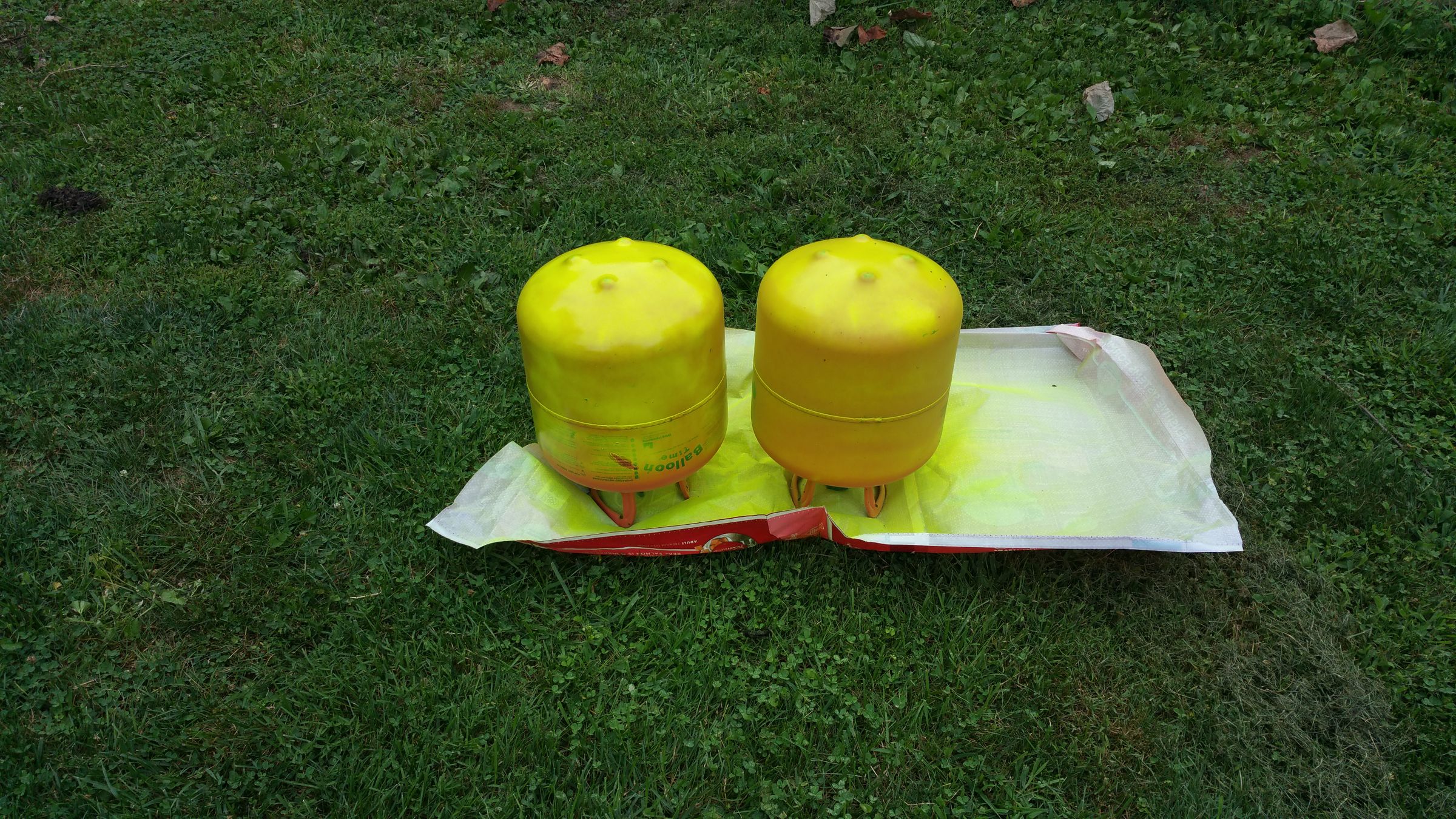 Minion Madness : 4 Steps (with Pictures) - Instructables