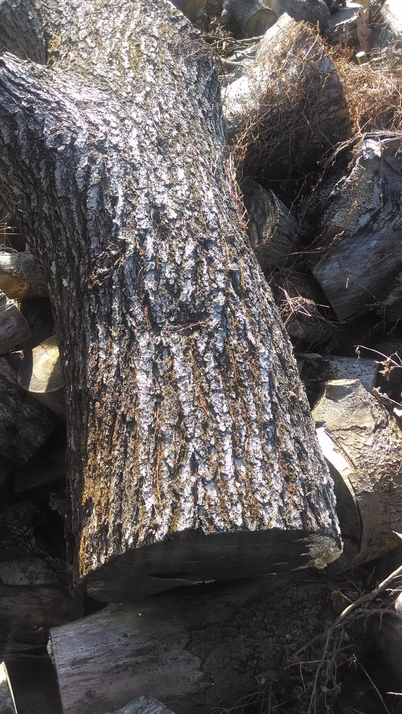 Log Sink : 6 Steps (with Pictures) - Instructables