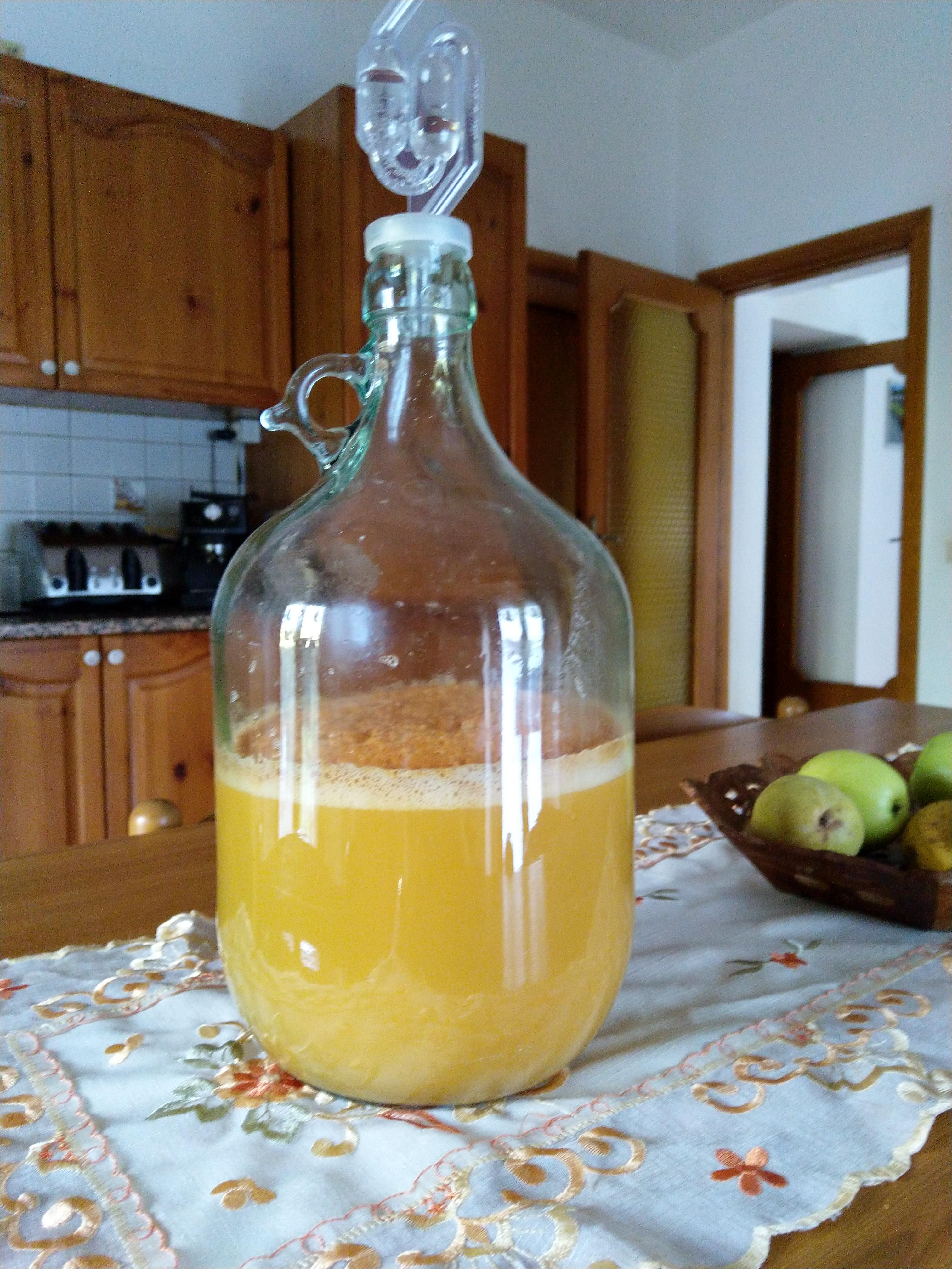 How to Make Cider : 12 Steps (with Pictures) - Instructables
