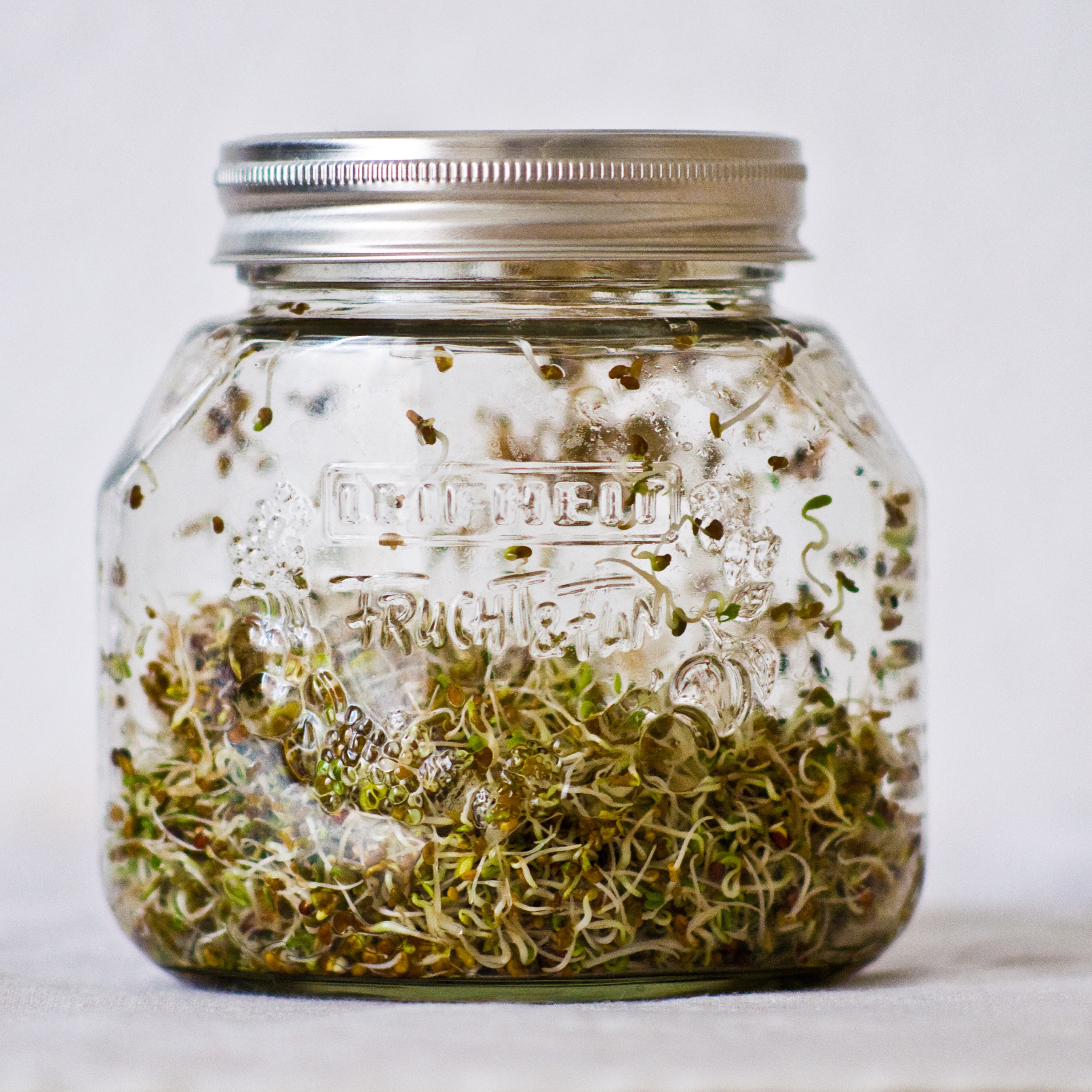 Ultimate Step by Step Sprouting Guide : 6 Steps (with Pictures ...