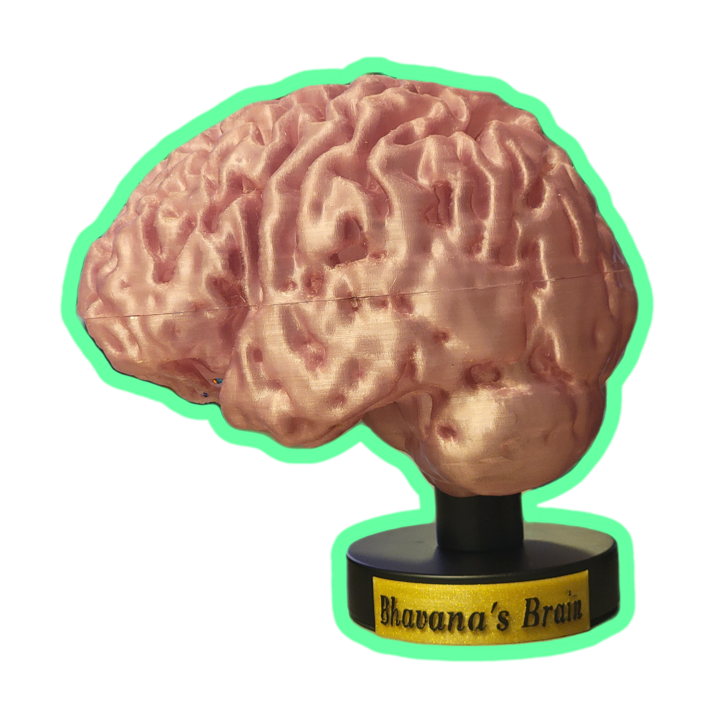 How To: From MRI to 3D Printed Brain Lamp : 4 Steps (with Pictures) - Instructables