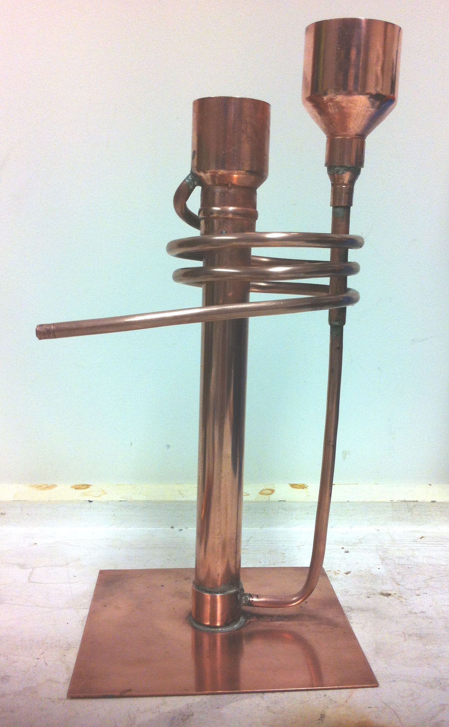 Still Parrot : 8 Steps (with Pictures) - Instructables