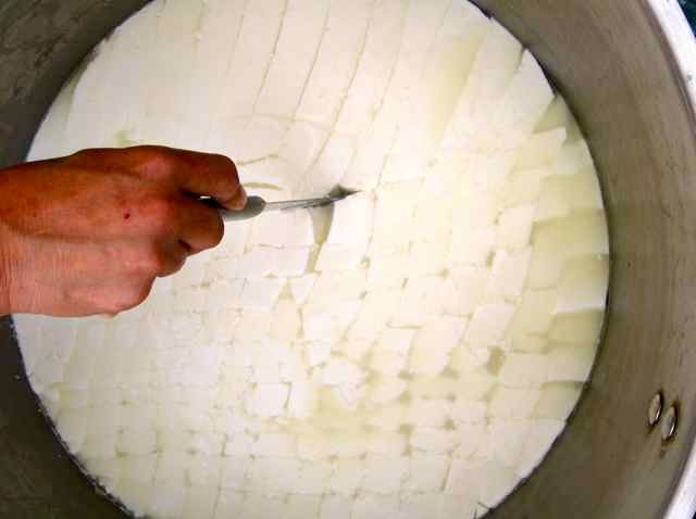 Basic Steps of How to Make Cheese : 8 Steps (with Pictures) - Instructables