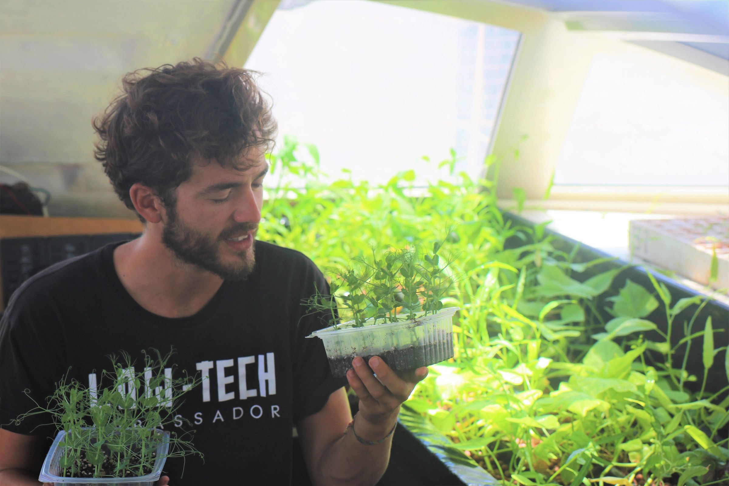 Low-tech Hydroponics System : 6 Steps (with Pictures) - Instructables