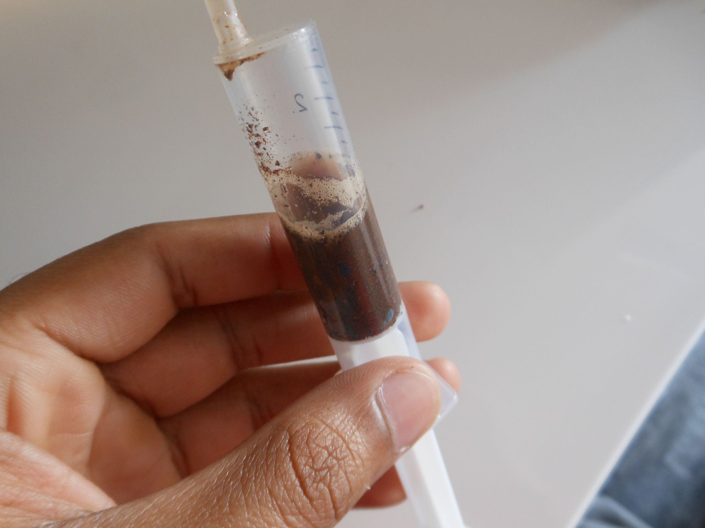 Plant in a Syringe - Instructables