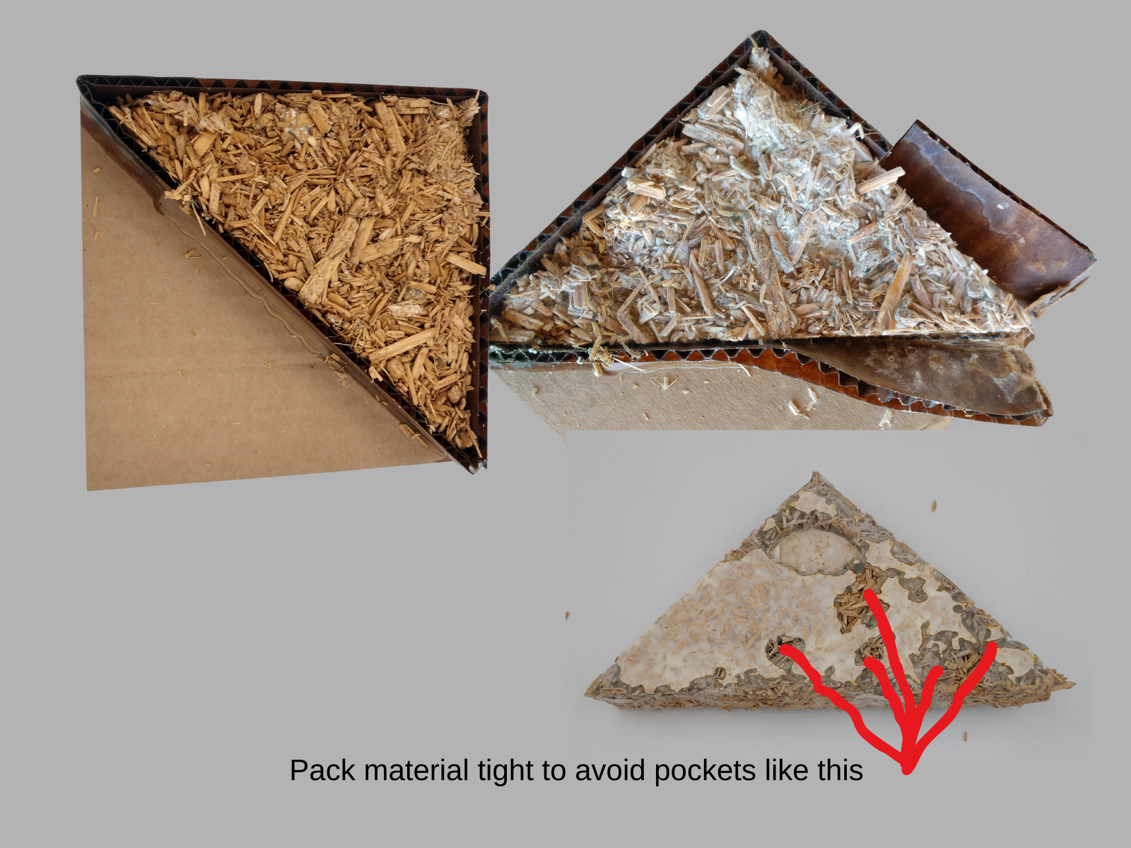 Growing Mycelium in the Classroom and Making Stuff With It - Biofabrication : 13 Steps (with ...