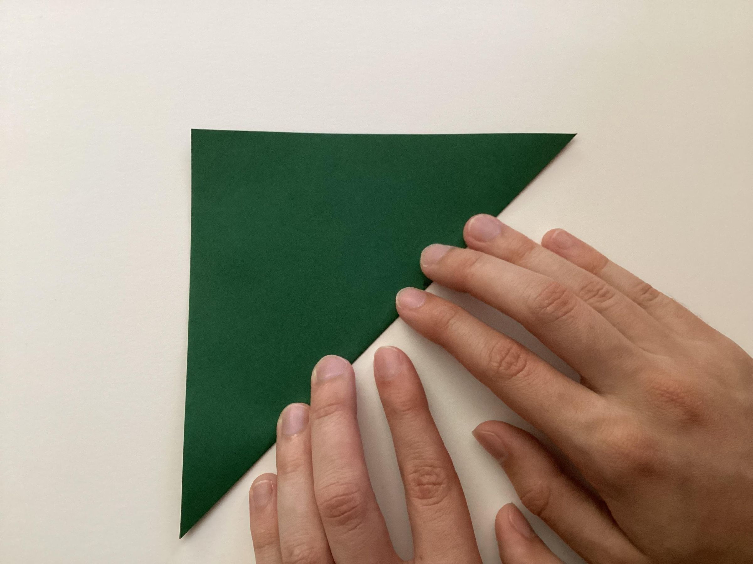 Origami Velociraptor : 12 Steps - Instructables