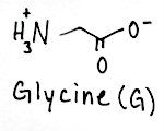 How to Draw Peptide Chains : 18 Steps (with Pictures) - Instructables
