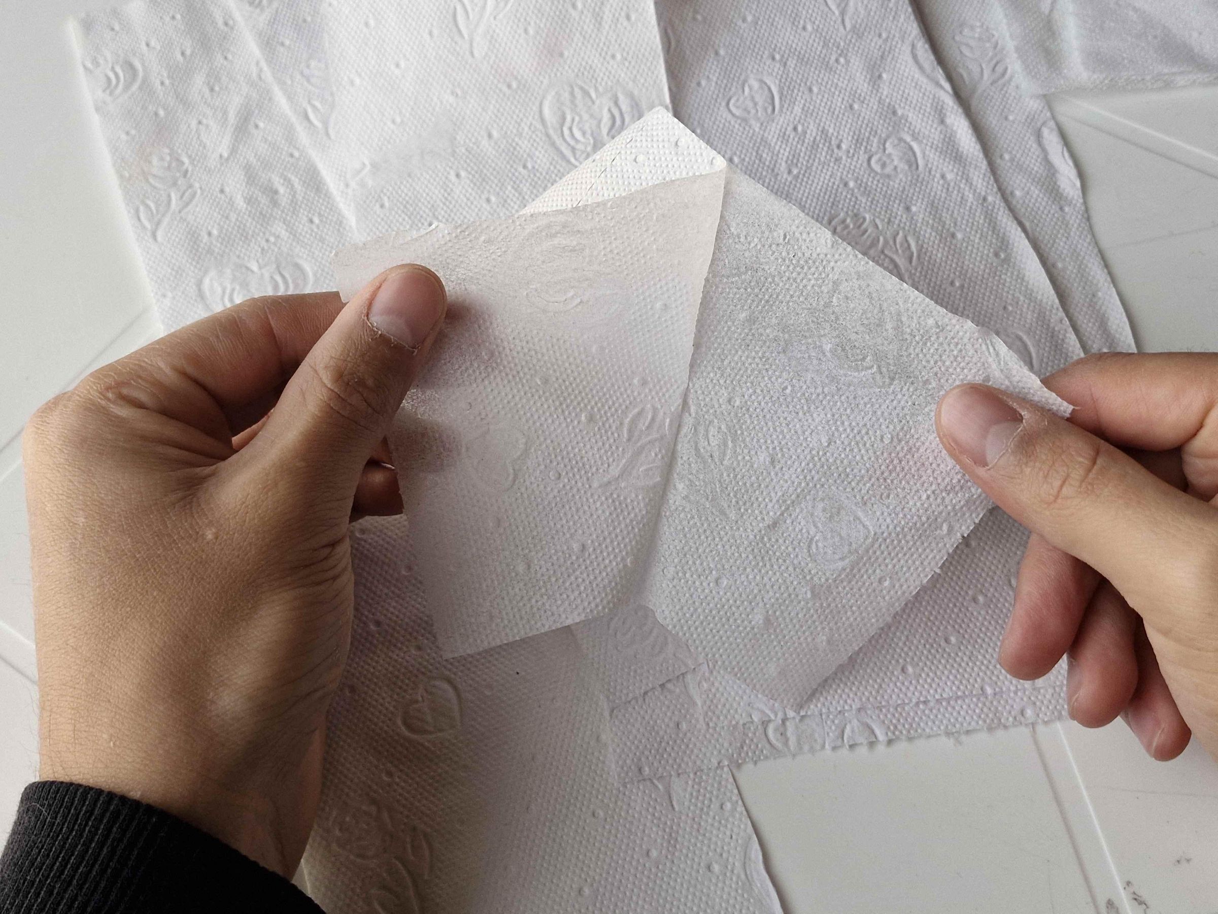 Transforming Toilet Paper Into a Beautiful Lotus Flower Lamp : 14 Steps ...