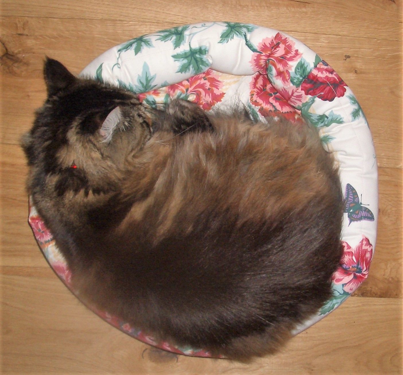 A Classy Cat Bed : 6 Steps (with Pictures) - Instructables