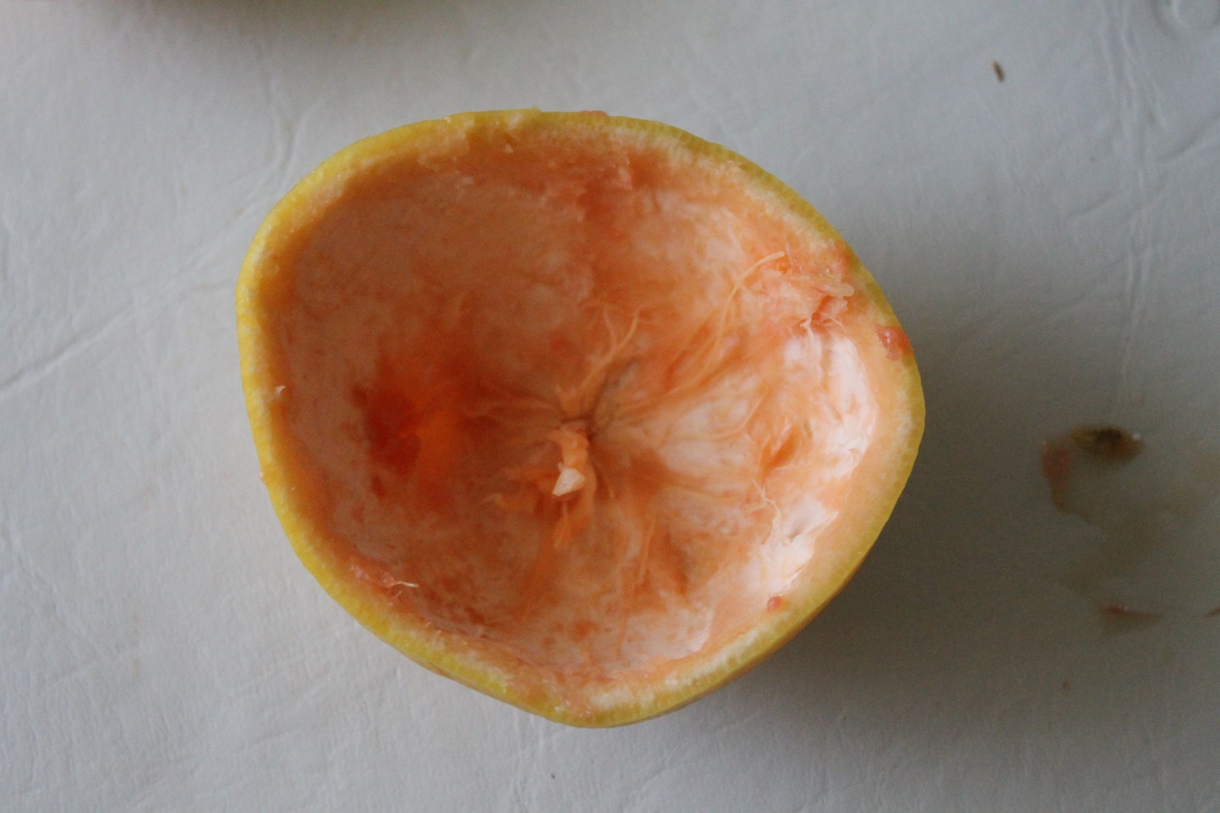 Orange Peel Jam : 6 Steps (with Pictures) - Instructables