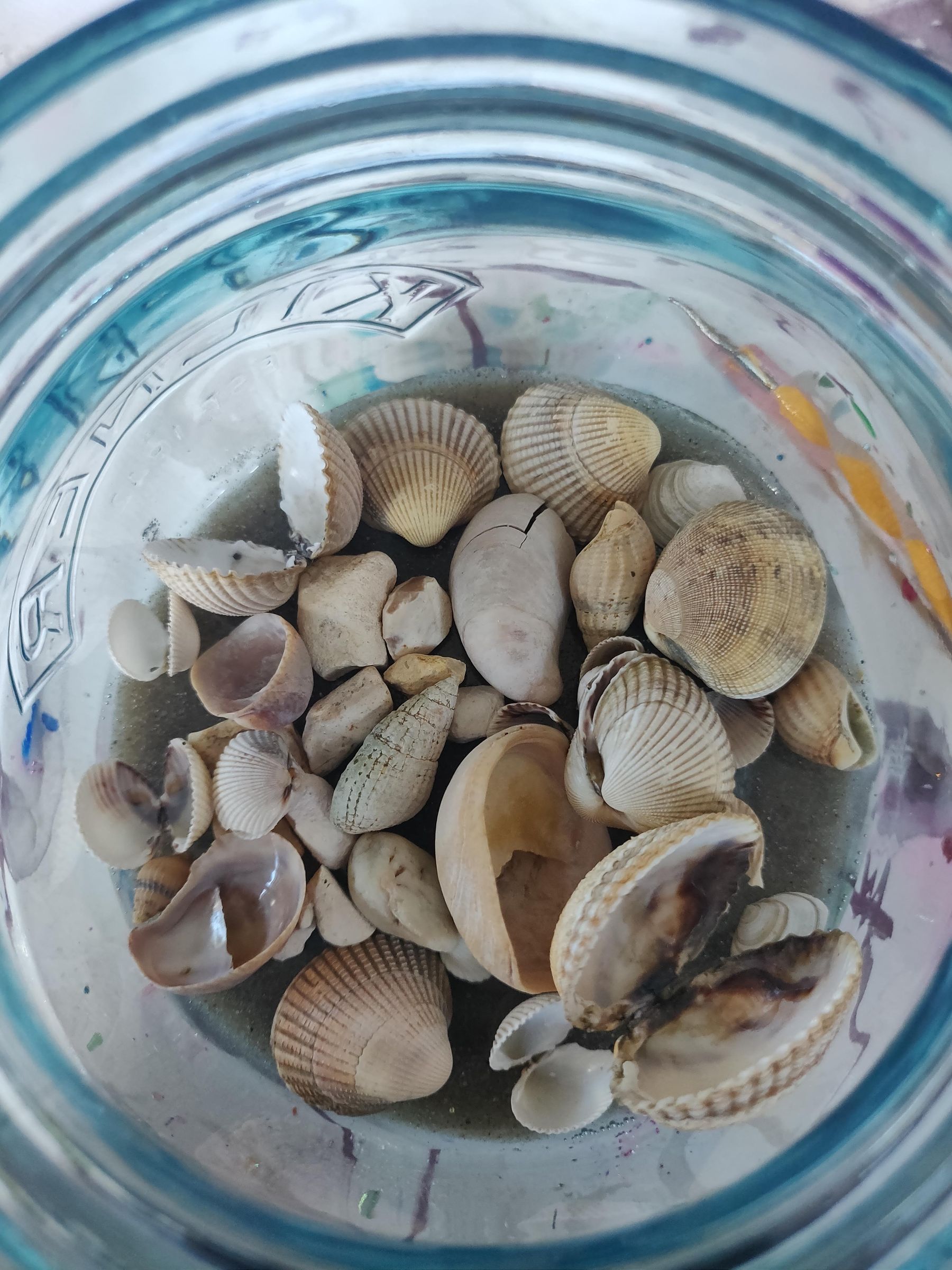 Saving a Day at the Beach in a Jar : 8 Steps (with Pictures ...