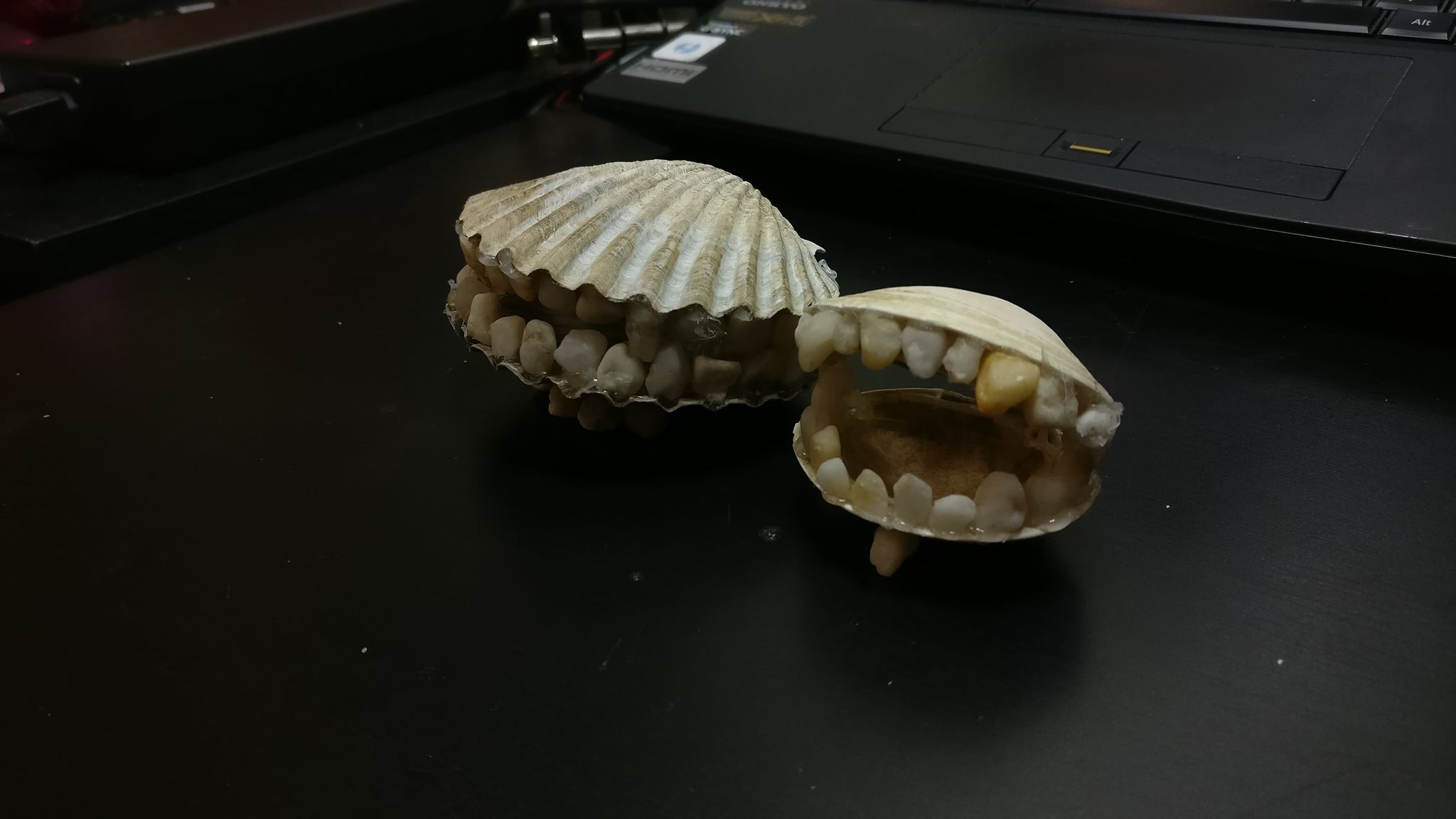 Toothy Shell Mouths : 4 Steps - Instructables