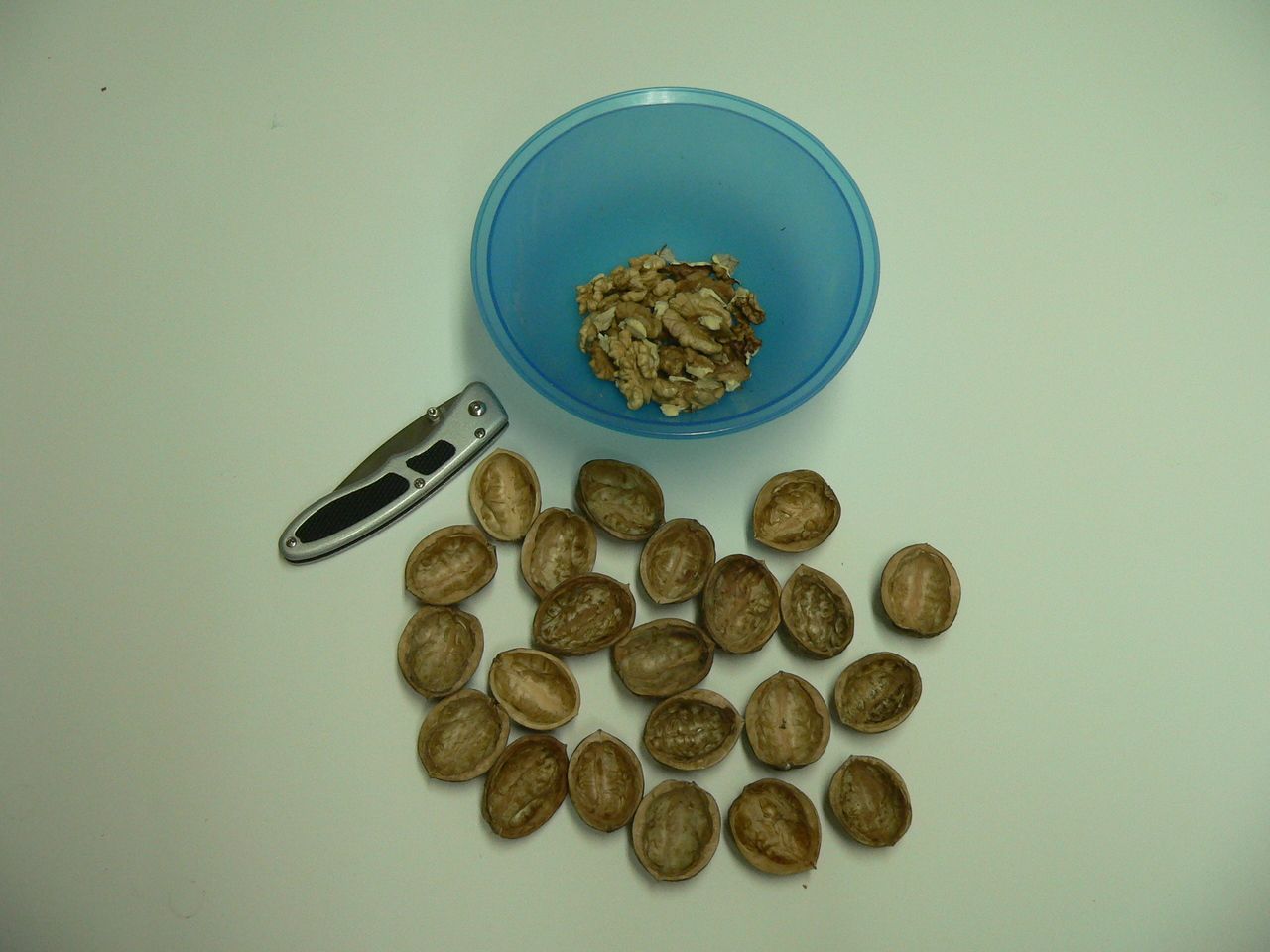 Sailboat (in) From a Nutshell : 5 Steps (with Pictures) - Instructables