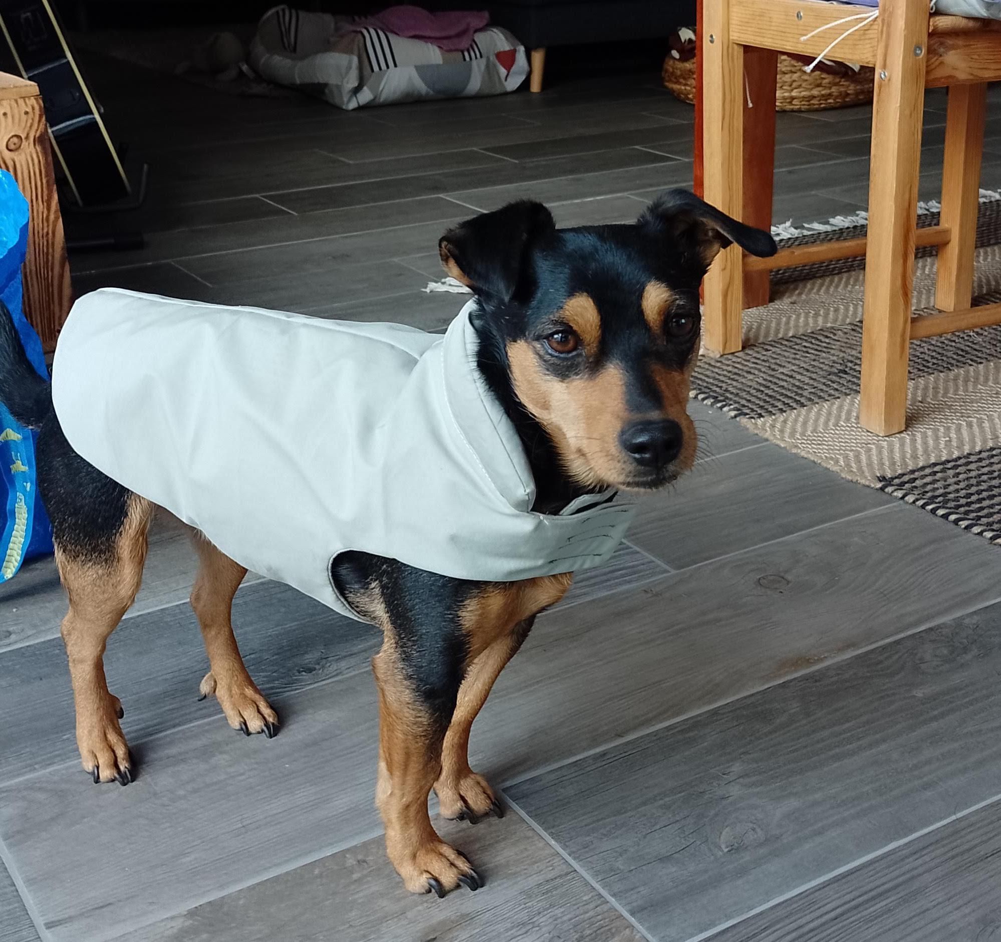 Simple Dog Jacket (with Pattern) : 8 Steps (with Pictures) - Instructables