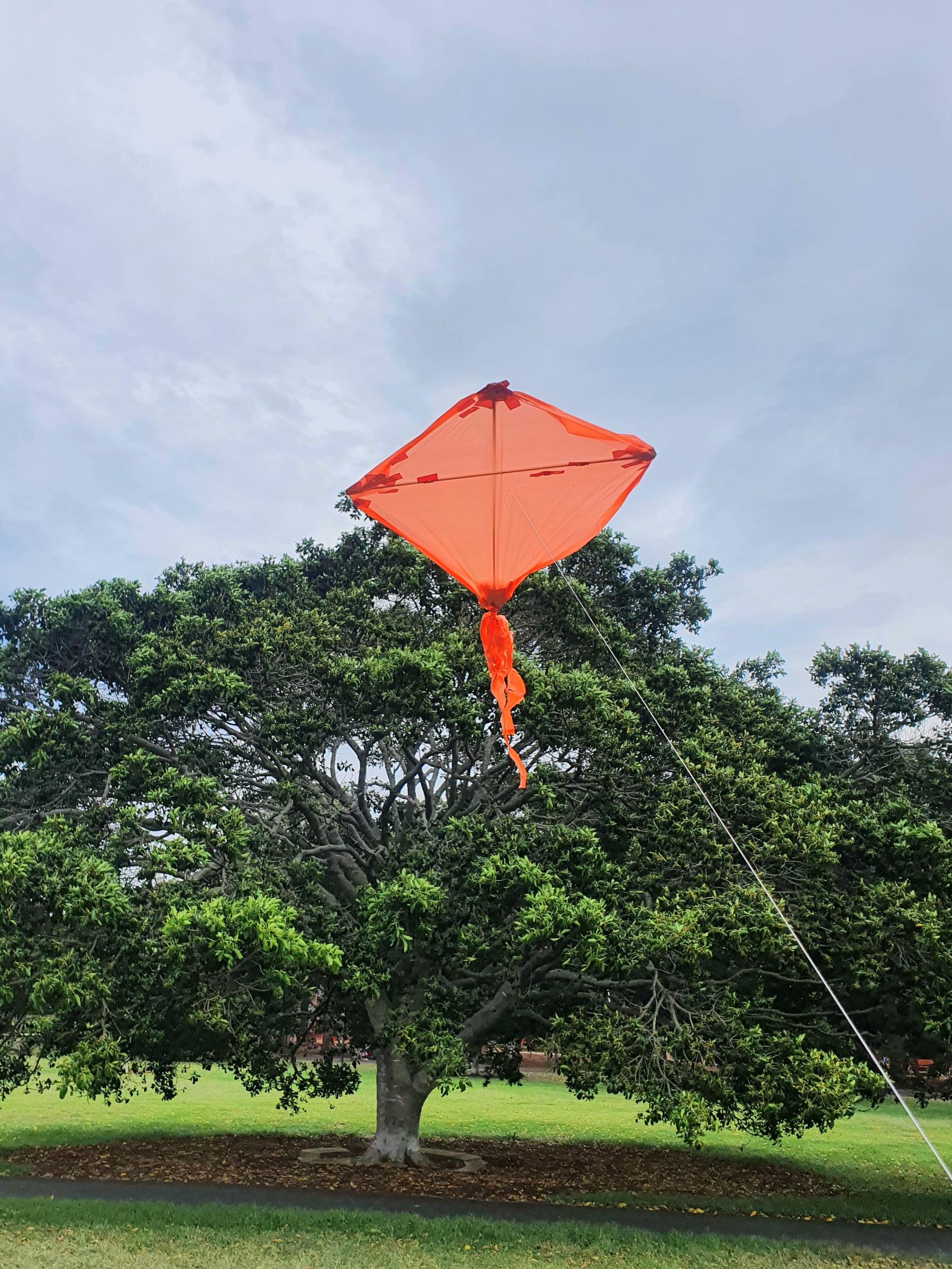 Kite From Rubbish Bag : 5 Steps (with Pictures) - Instructables