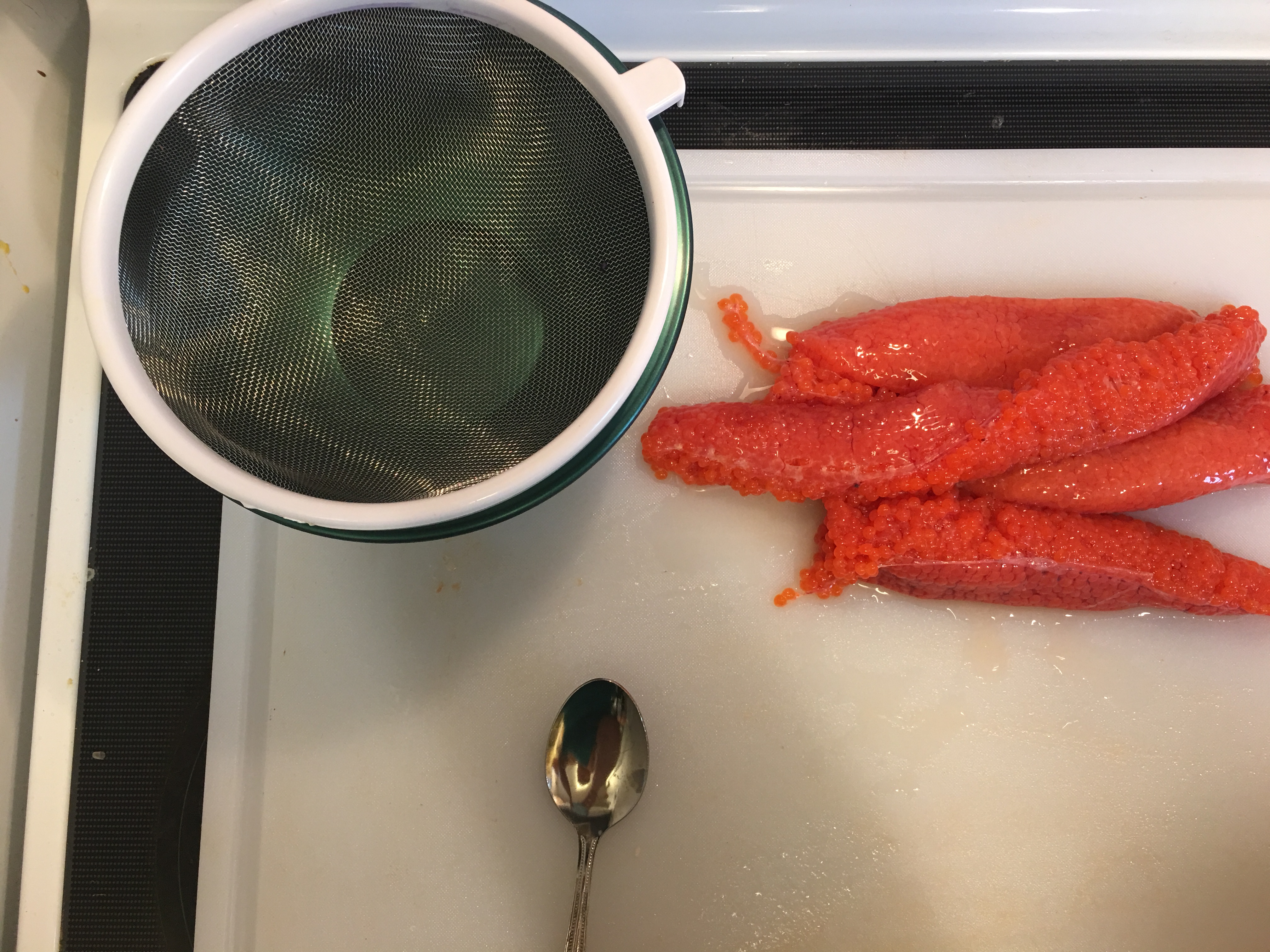 Making Salmon Roe Caviar : 13 Steps (with Pictures) - Instructables