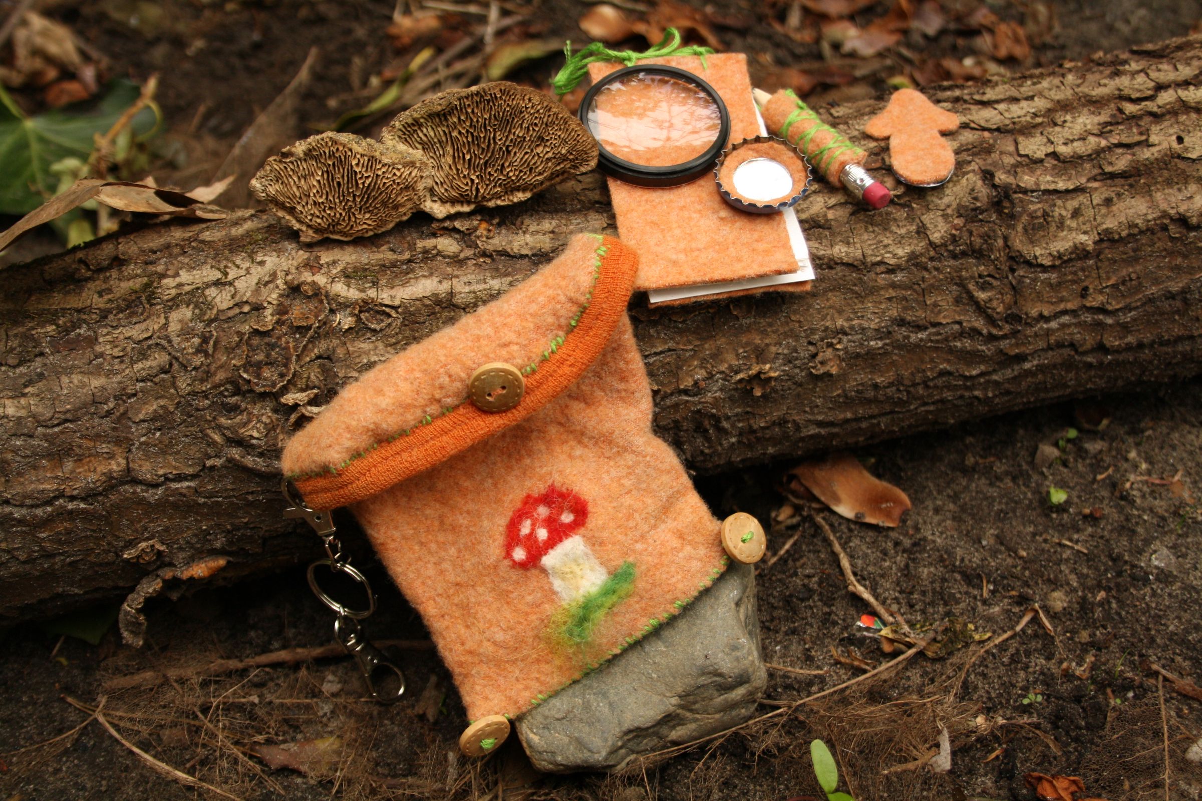 Mushroom Determination Kit, Pocket Sized and Made From Scrap : 9 Steps ...
