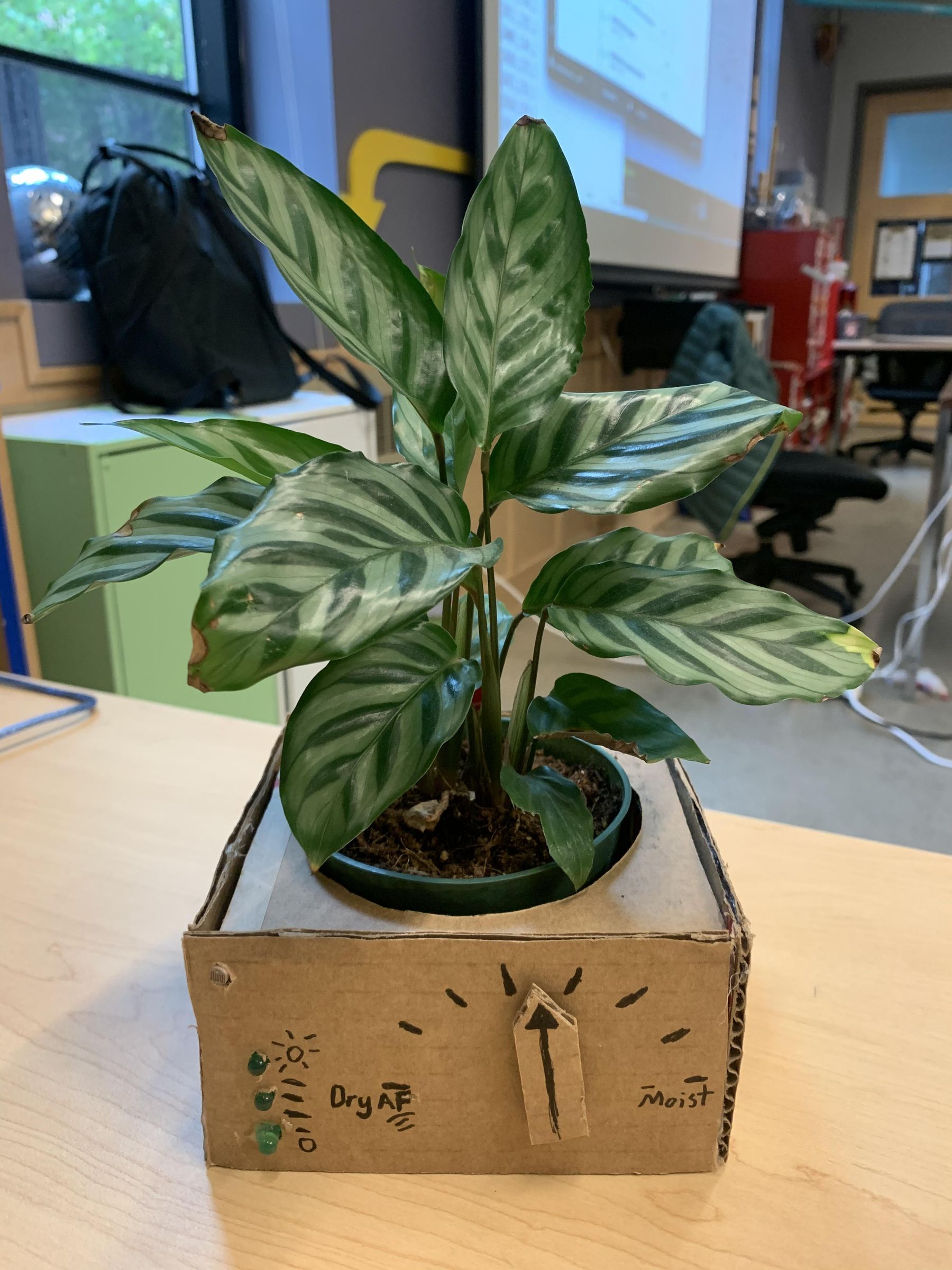 Arduino Plant Monitoring Box : 5 Steps - Instructables