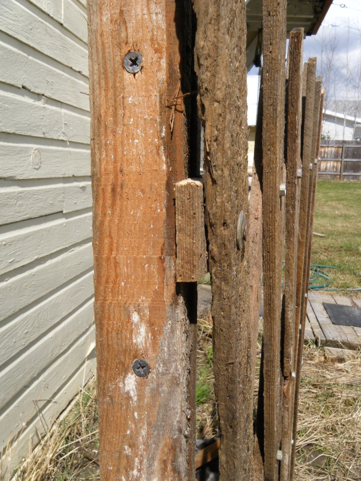 Expandable/Collapsible Garden Trellis : 4 Steps (with Pictures ...