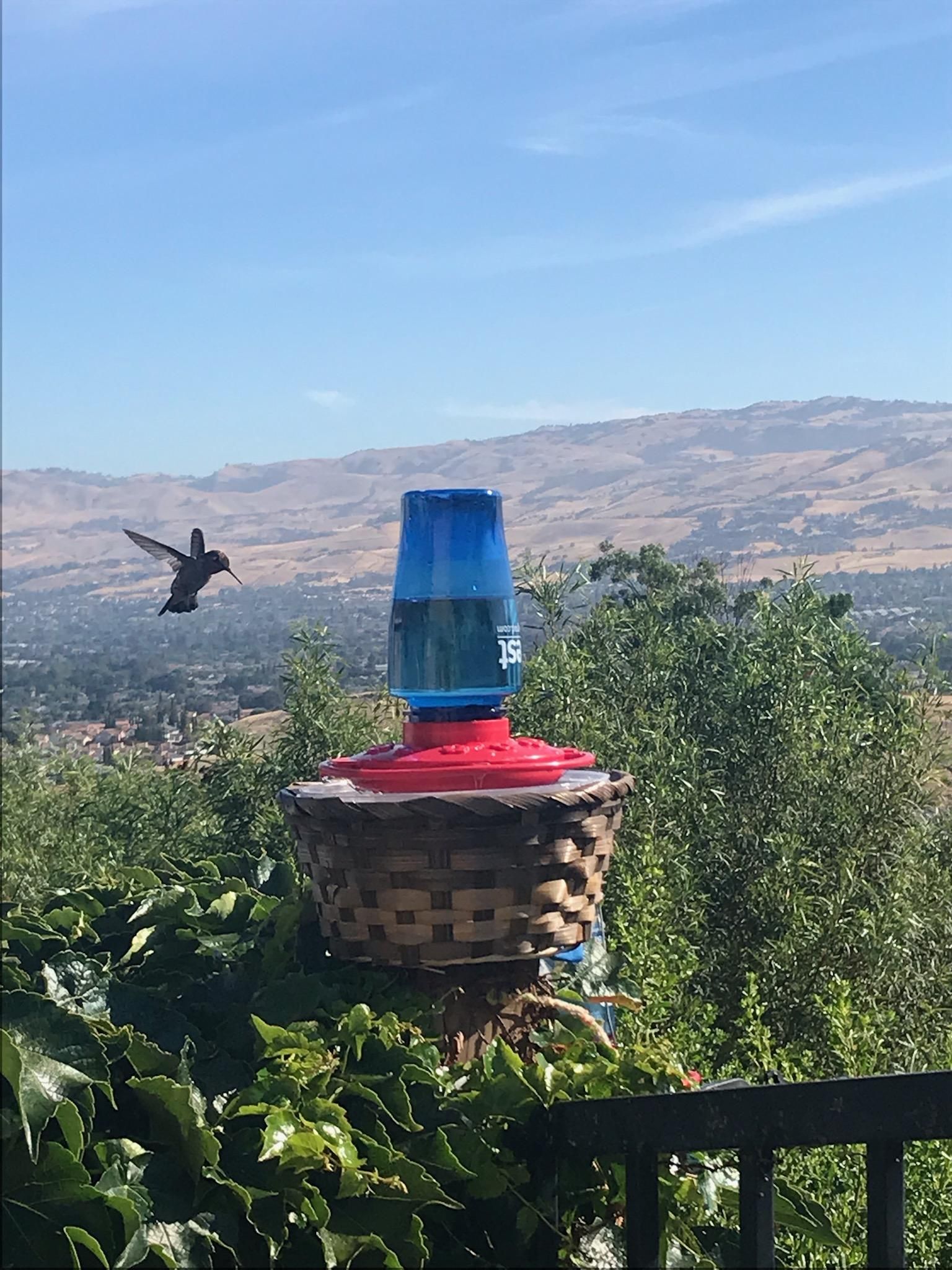 Up-class a Broken Hummingbird Feeder : 5 Steps (with Pictures ...
