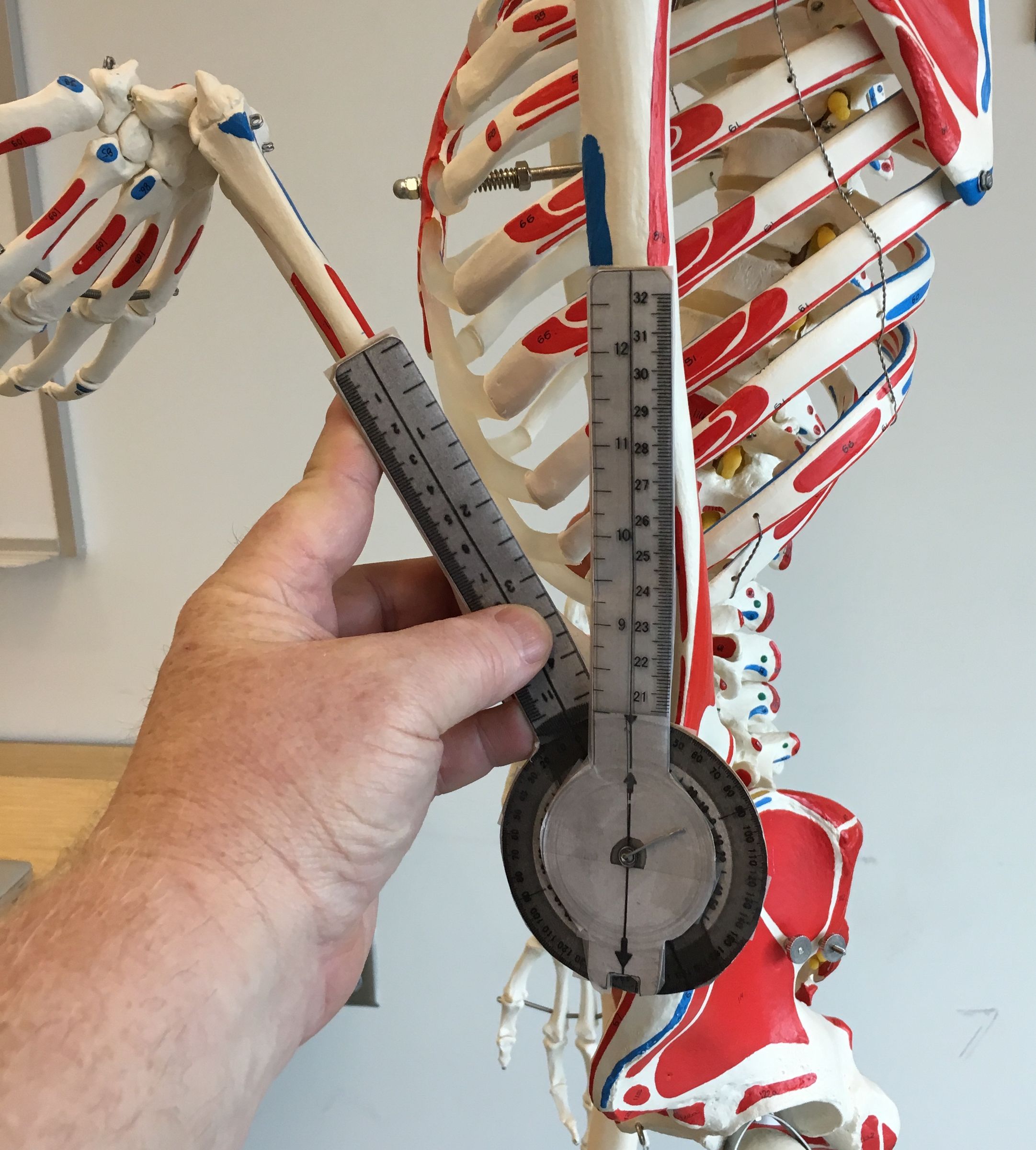 Goniometer for Joint Range of Motion Measurement : 5 Steps (with ...