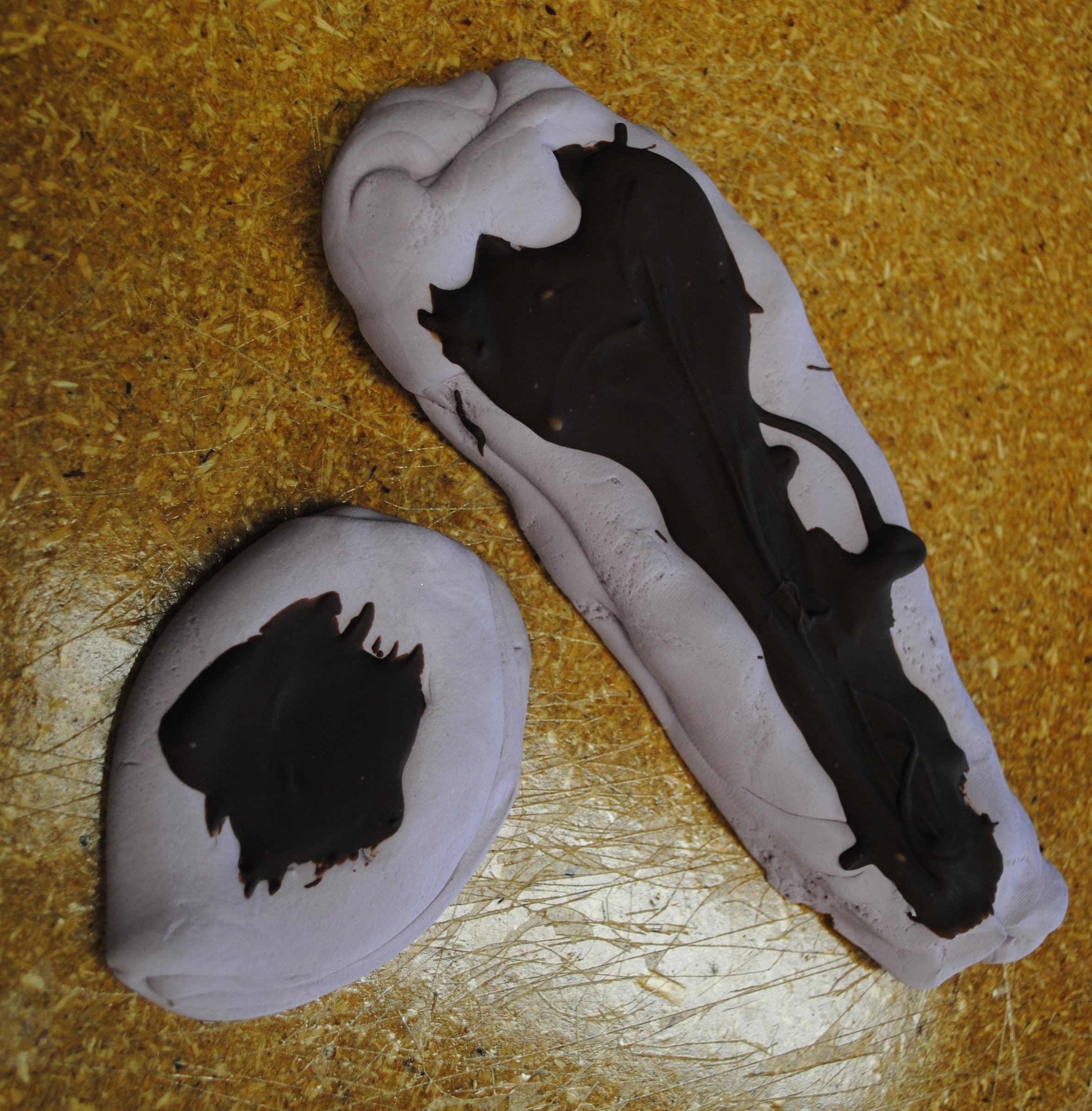 Making Chocolate Molds Out of Silicone Putty by TechShop : 4 Steps ...