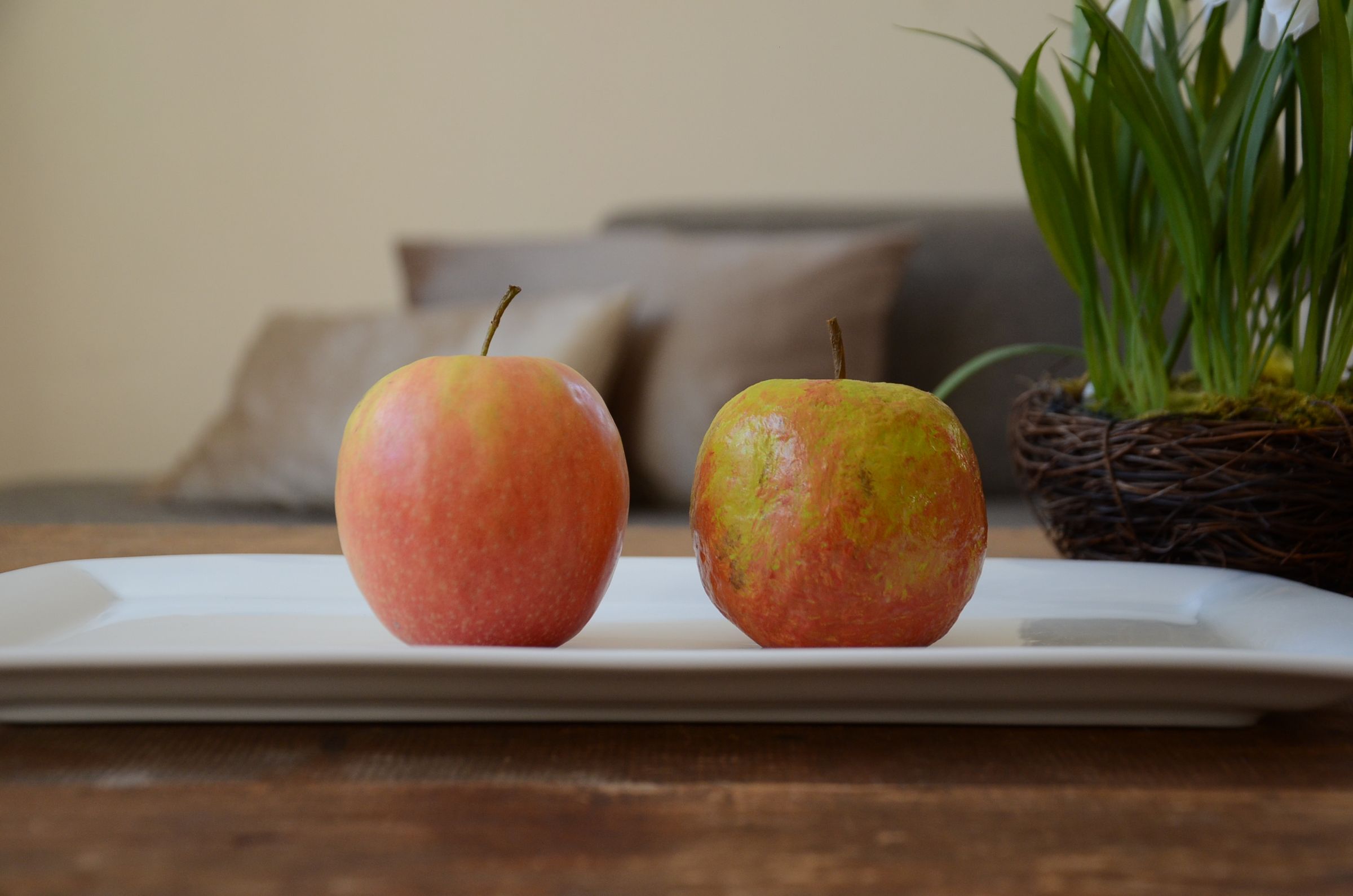 Paper Mache Fruits (apple and Mandarin) : 11 Steps (with Pictures ...