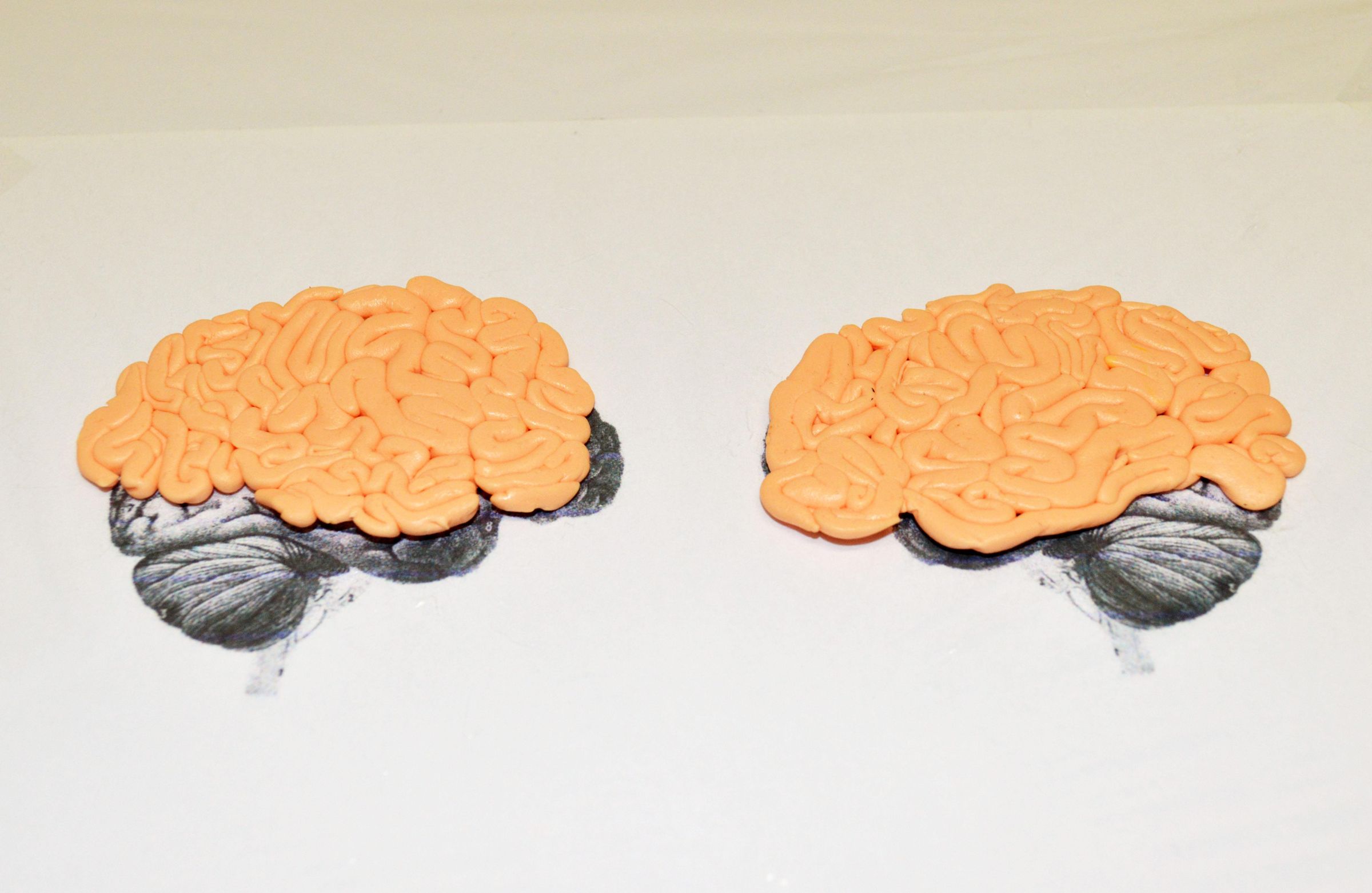 Chocolate Raspberry Brain Halloween Dessert : 11 Steps (with Pictures ...