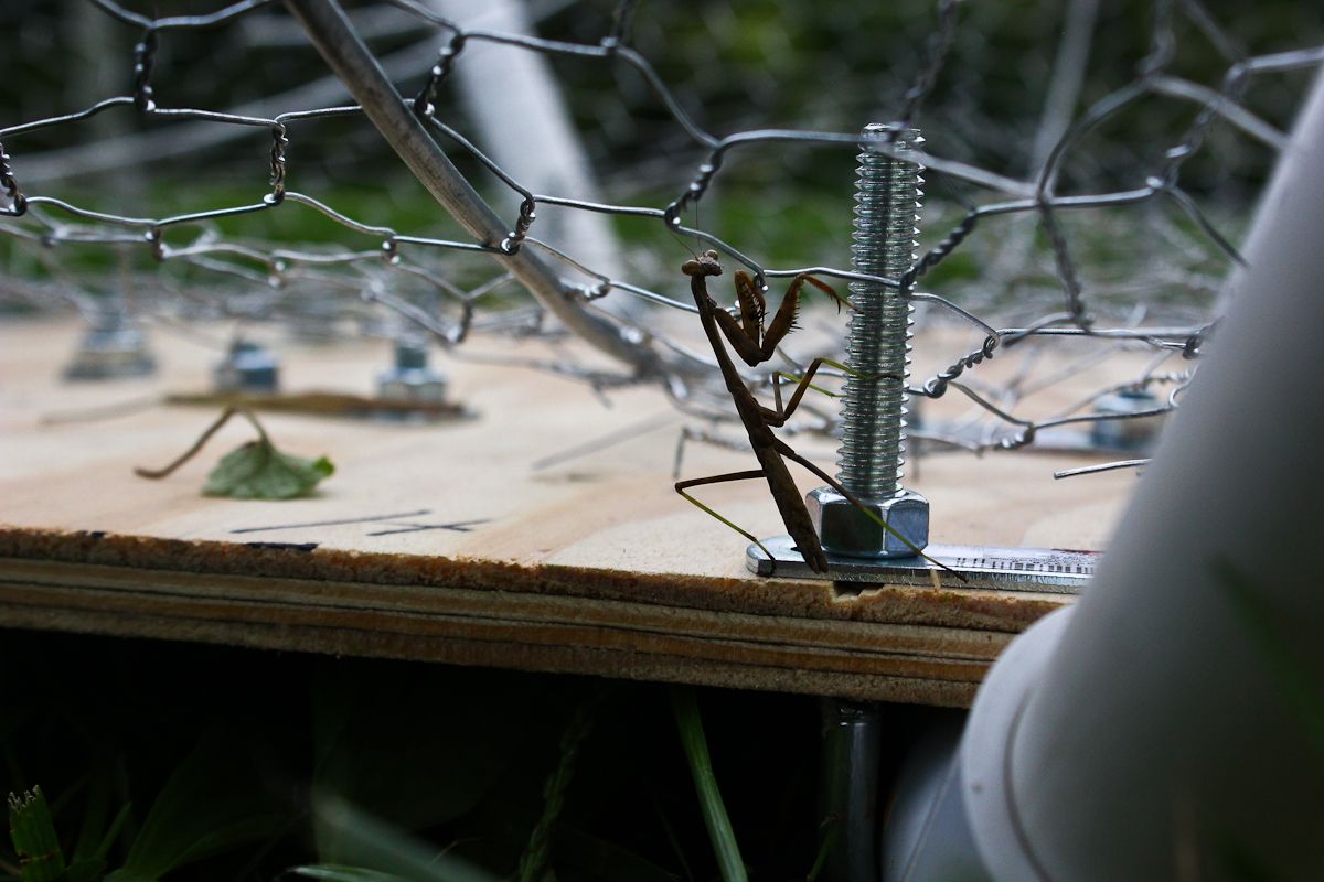 The Build of a Giant Spider : 7 Steps (with Pictures) - Instructables