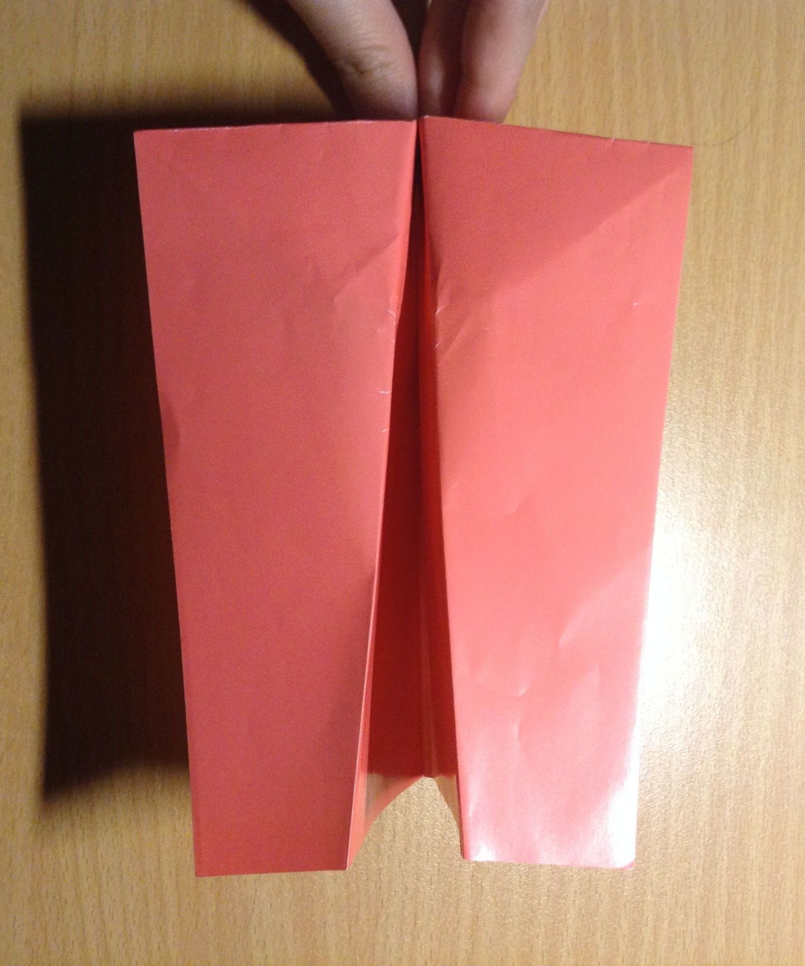How to Make a Canard Paper Airplane : 11 Steps - Instructables