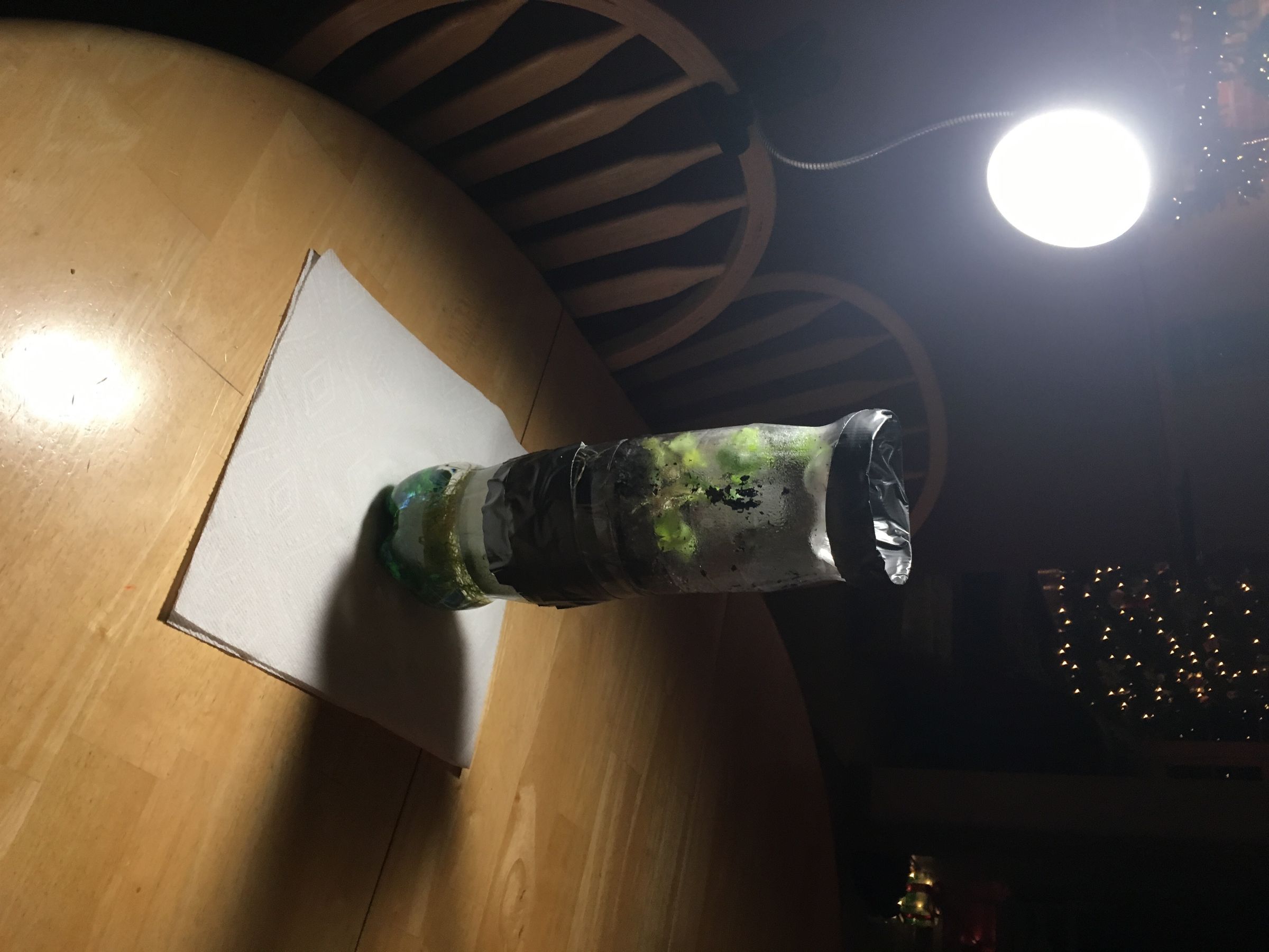Closed Ecosystems : 9 Steps (with Pictures) - Instructables