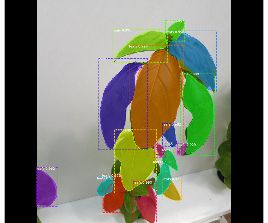 OpenFarmingAI: Basilikumblätter-Instanzsegmentierung Mit Mask-RCNN Und ...