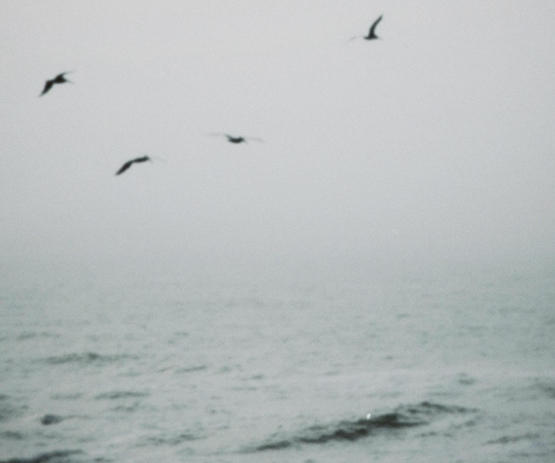 Turn IPhone Photos Into Vintage Film in 5 Minutes or Less : 9 Steps ...