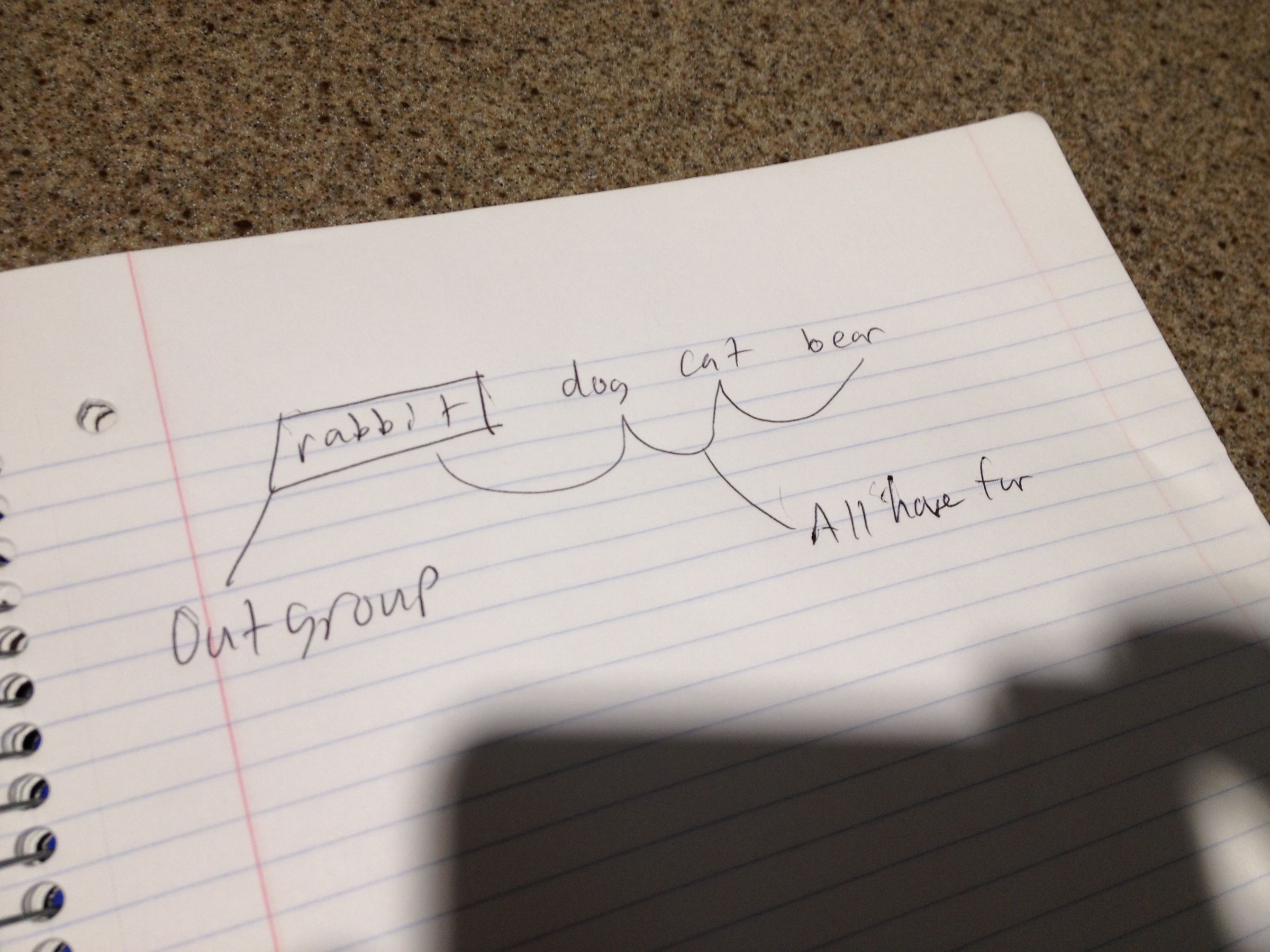 How to Make a Cladogram : 10 Steps - Instructables