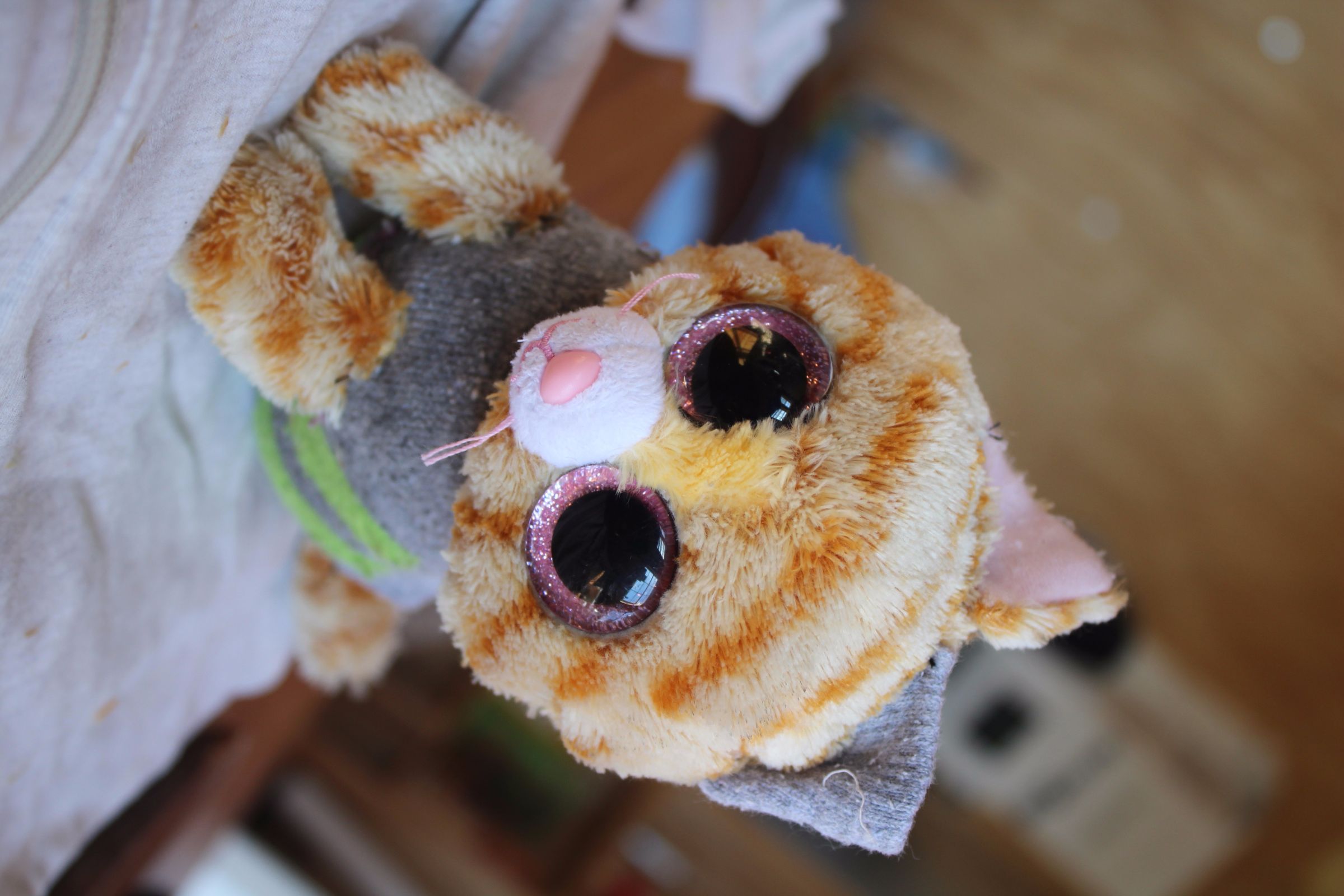 How to Make a Franken-Kitty : 4 Steps (with Pictures) - Instructables