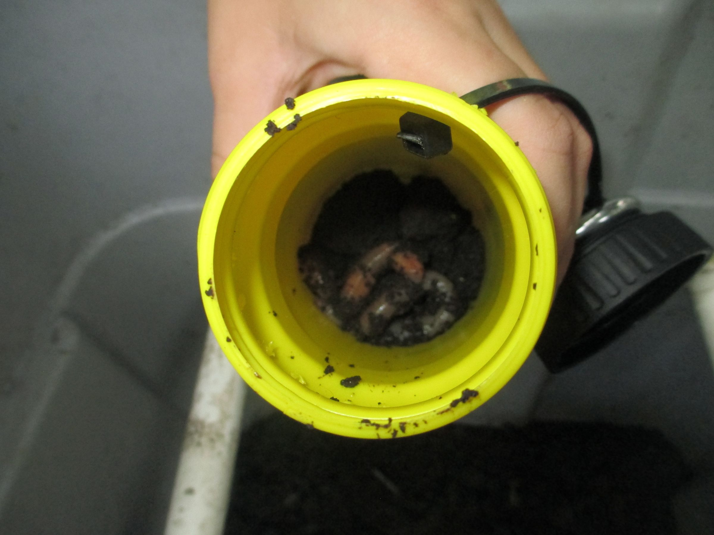 Make a Worm Bait Bottle for Fishing : 10 Steps (with Pictures ...
