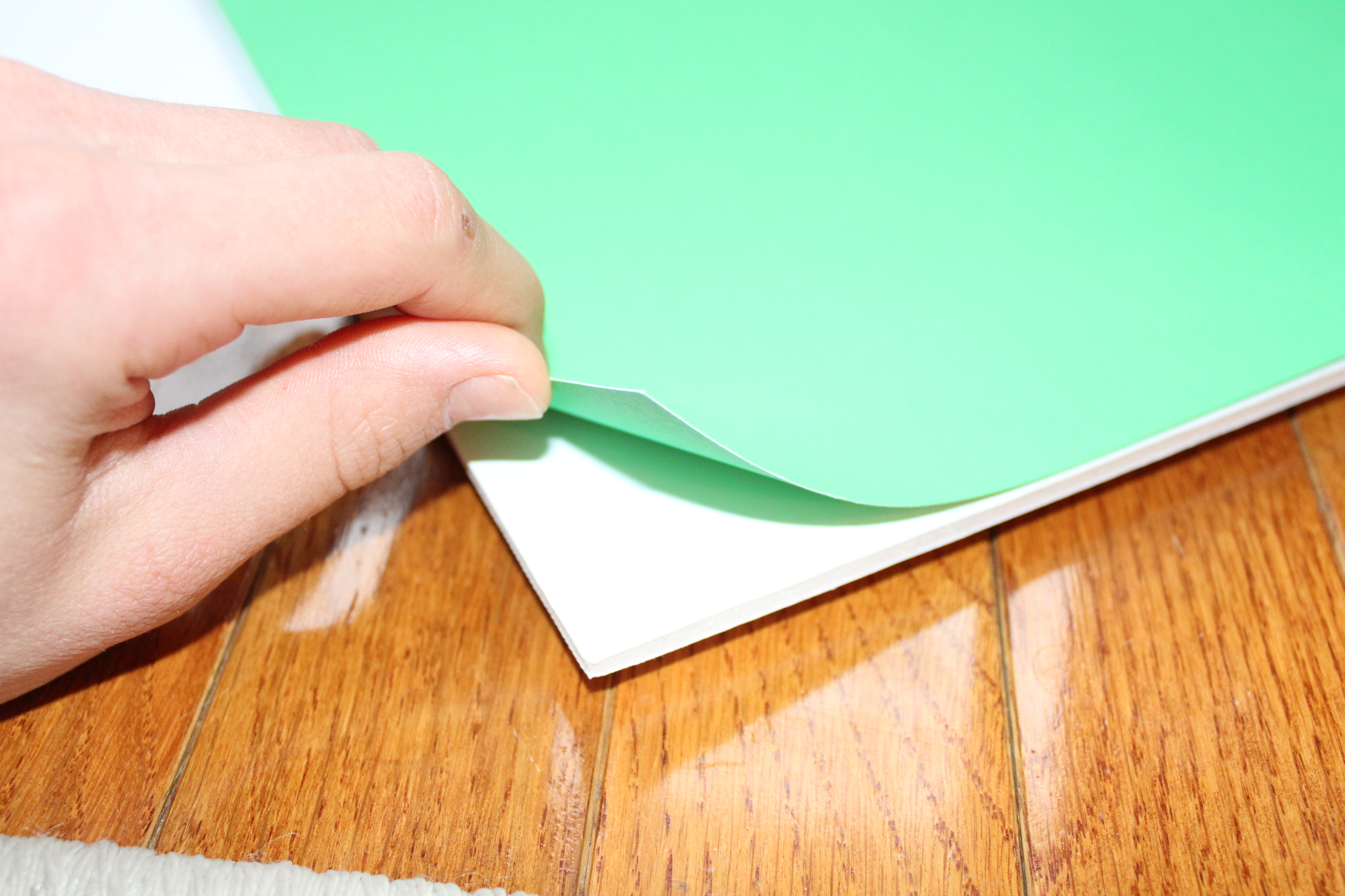 Dollar Store Green Screen : 4 Steps - Instructables