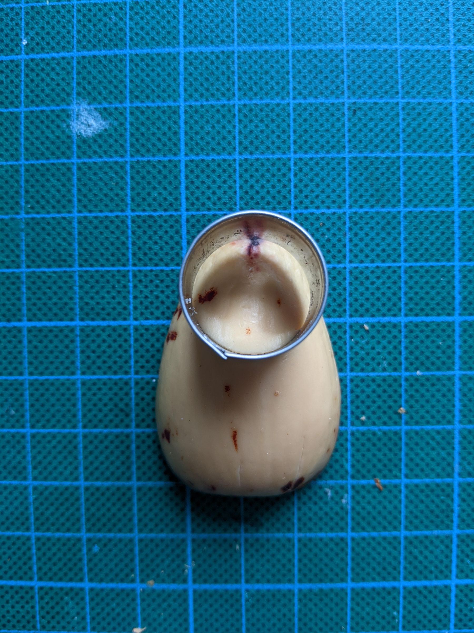 Buttons From Avocado Pits : 8 Steps (with Pictures) - Instructables